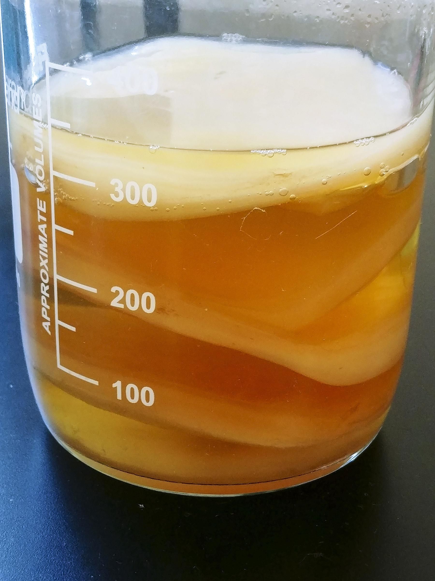 DIY Kombucha - Bacterial Cellulose Fermentor : 19 Steps (with Pictures ...