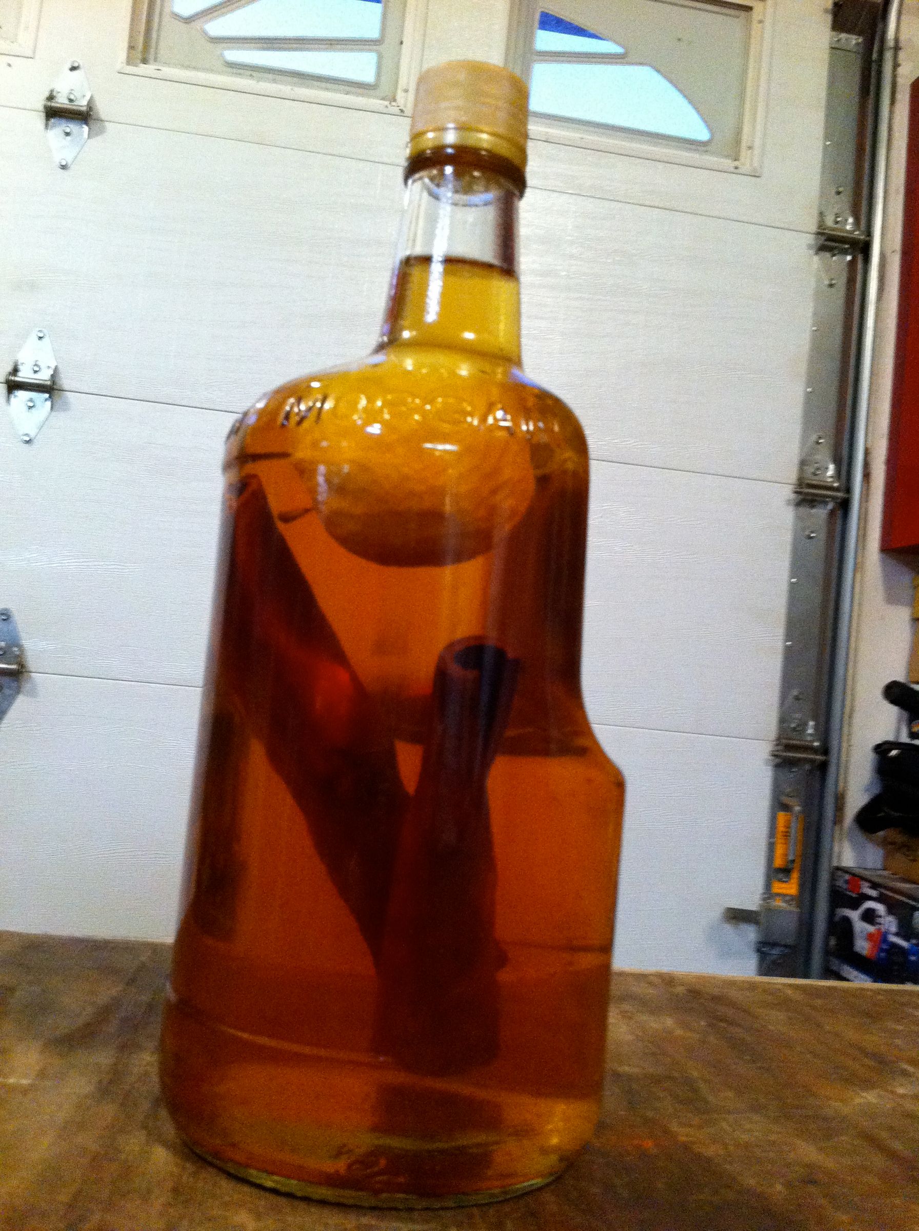 How to Grow an Apple in a Bottle : 15 Steps (with Pictures) - Instructables