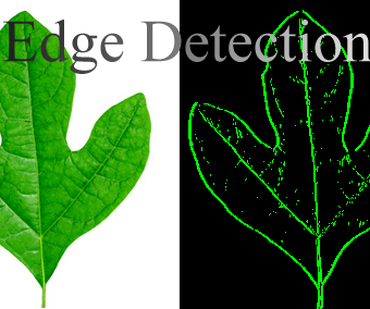 C# Edge Detection : 7 Steps - Instructables