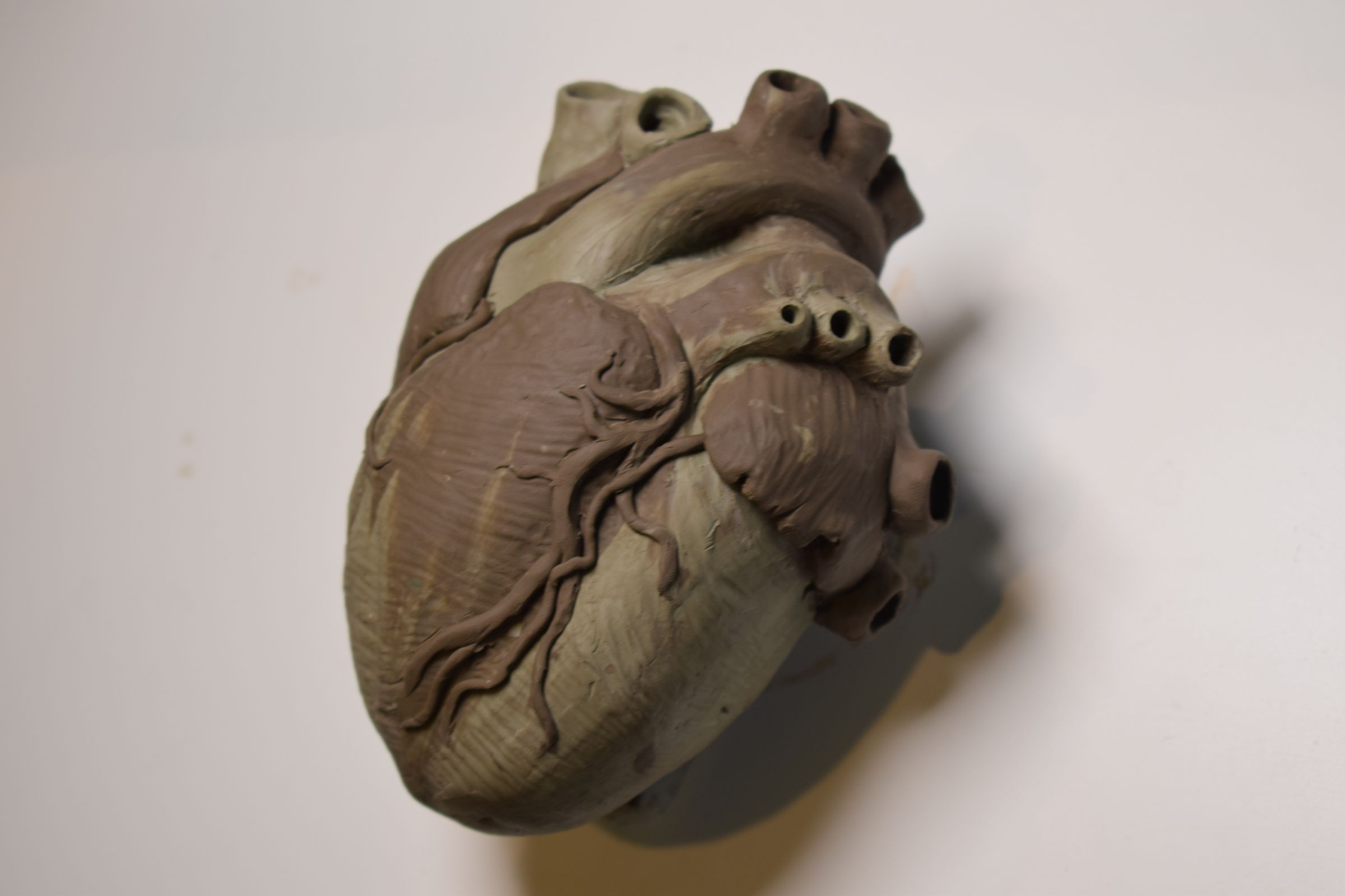 Silicone Skin 3D Printed Realistic Animatronic Heart : 5 Steps (with ...