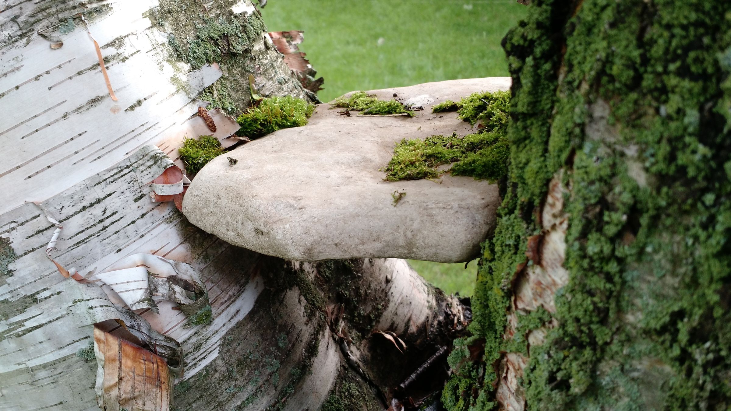 Repurpose Your Rocks! : 3 Steps - Instructables