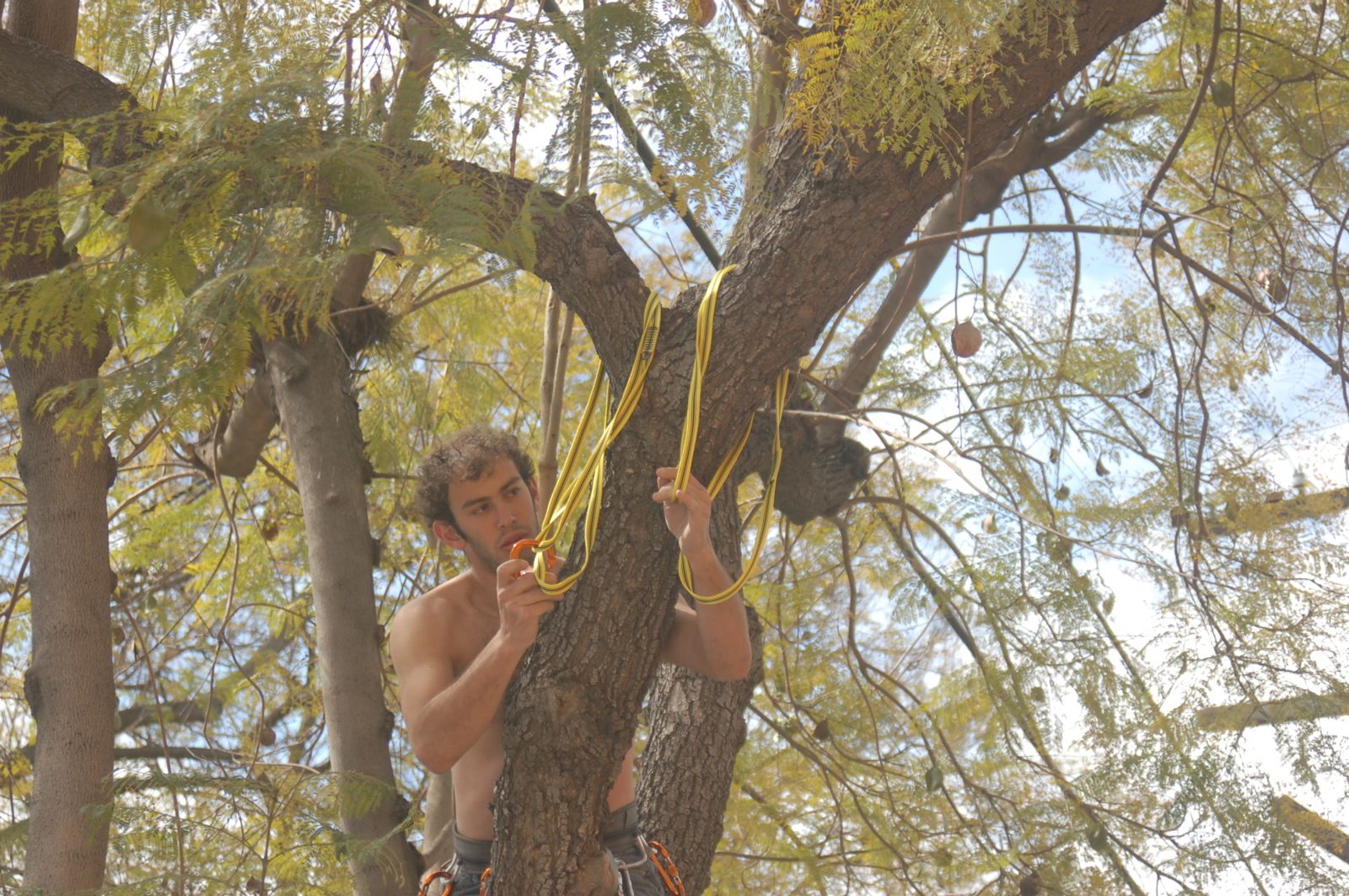 How to Climb a Tree (with Prussiks!) : 6 Steps (with Pictures ...