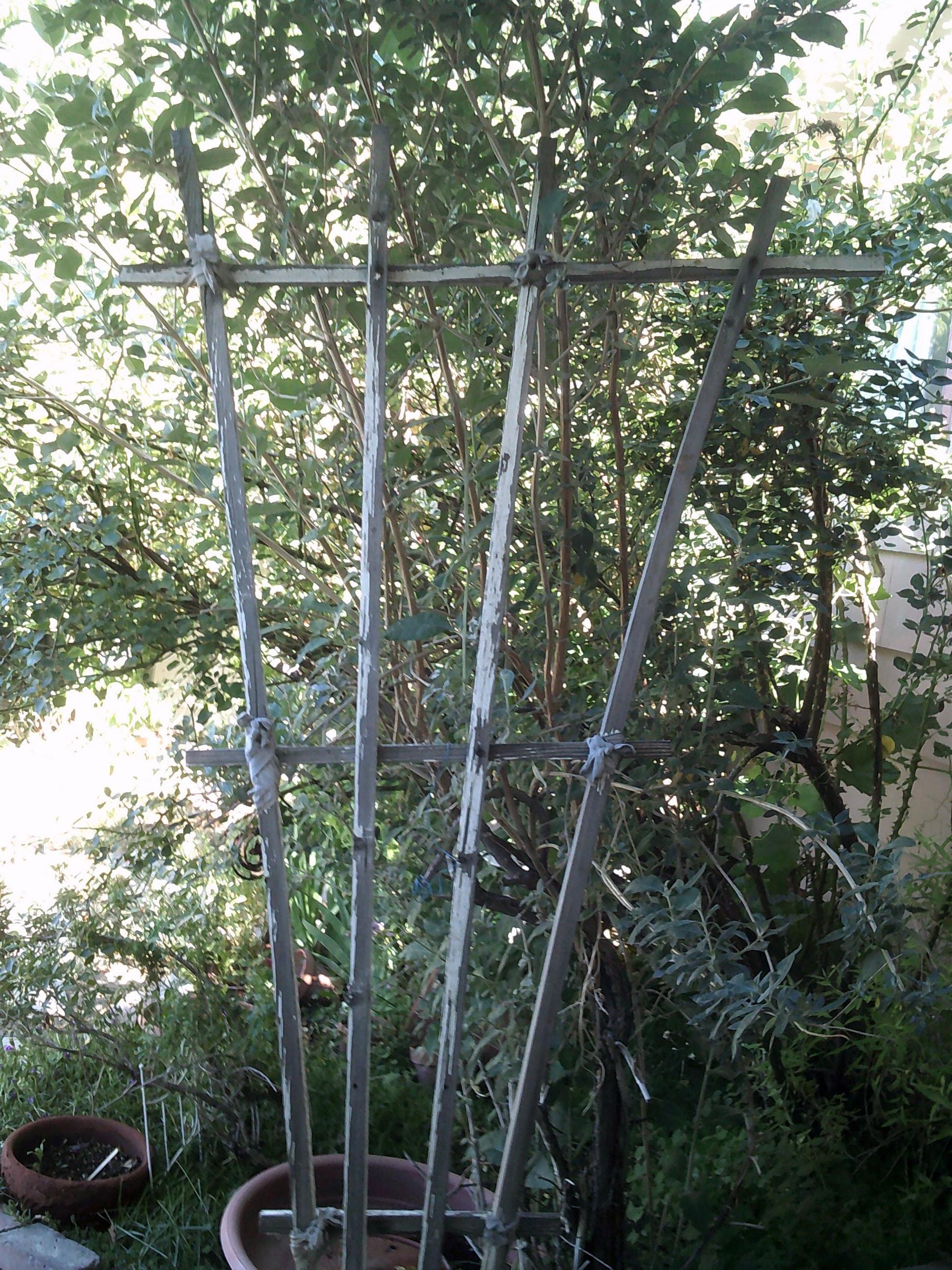 Garden Rainbow : 5 Steps (with Pictures) - Instructables