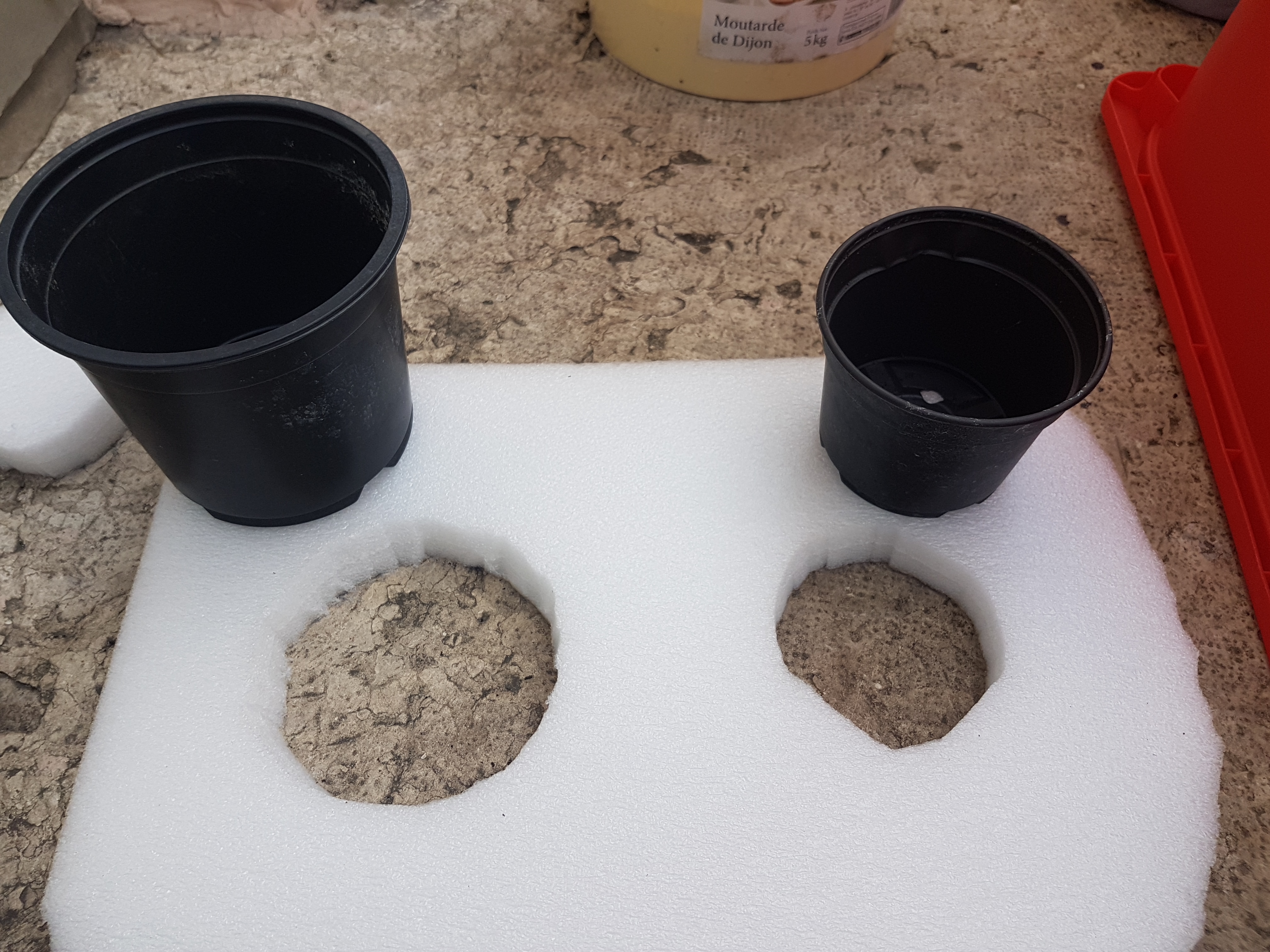 First Timer Hydroponics: the Raft System : 8 Steps (with Pictures ...