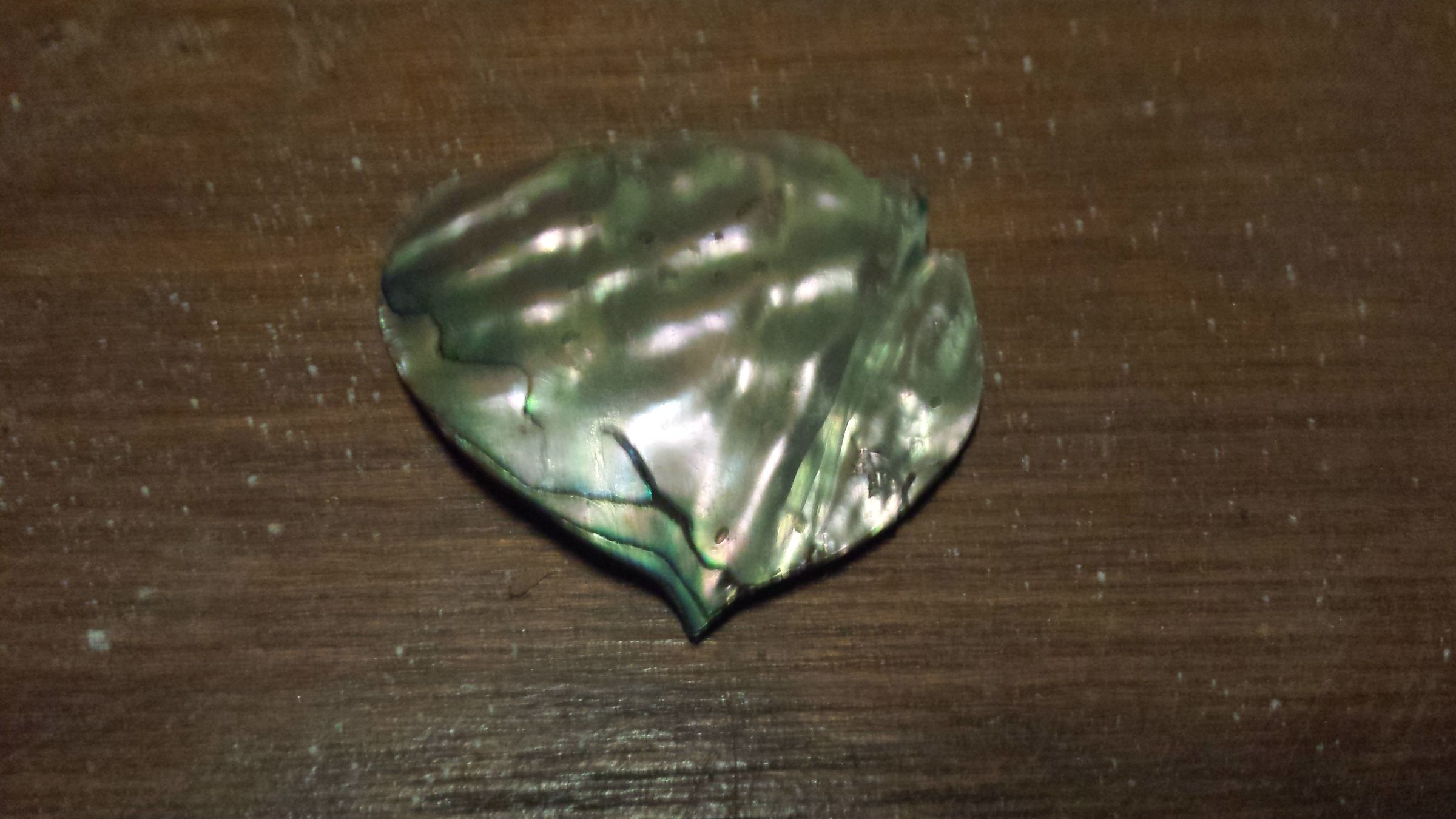 Upcycling & Carving Abalone Shell Into Jewelry and Gris Gris ...