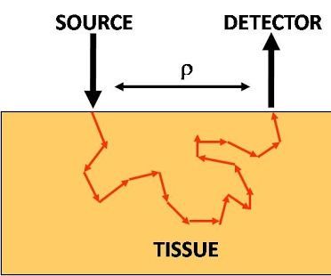 Diffuse Optical Spectroscopy and Imaging, Proof of Concept : 12 Steps ...