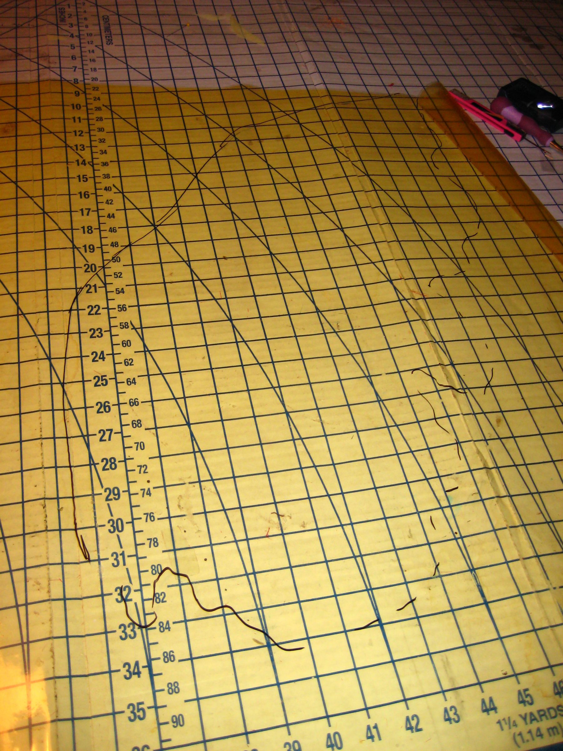 How to Make Easy Cellophane Wings : 9 Steps (with Pictures) - Instructables