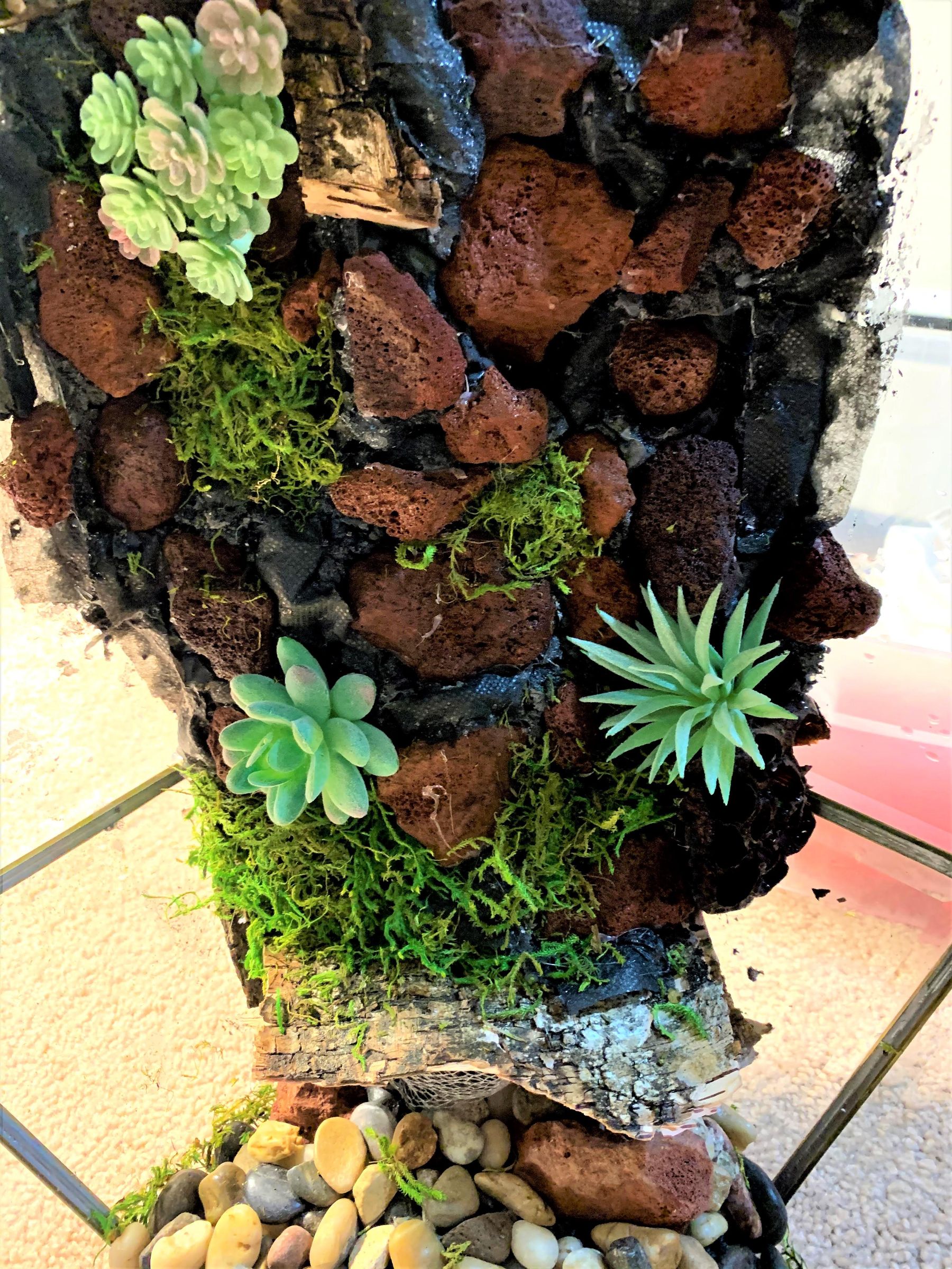 Repurposed Glass Chandelier Into Live Moss Drip Wall and Faux Terrarium ...
