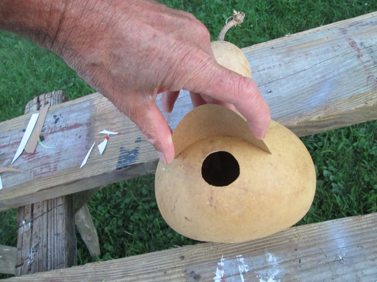 Build a Gourd Birdhouse : 8 Steps (with Pictures) - Instructables