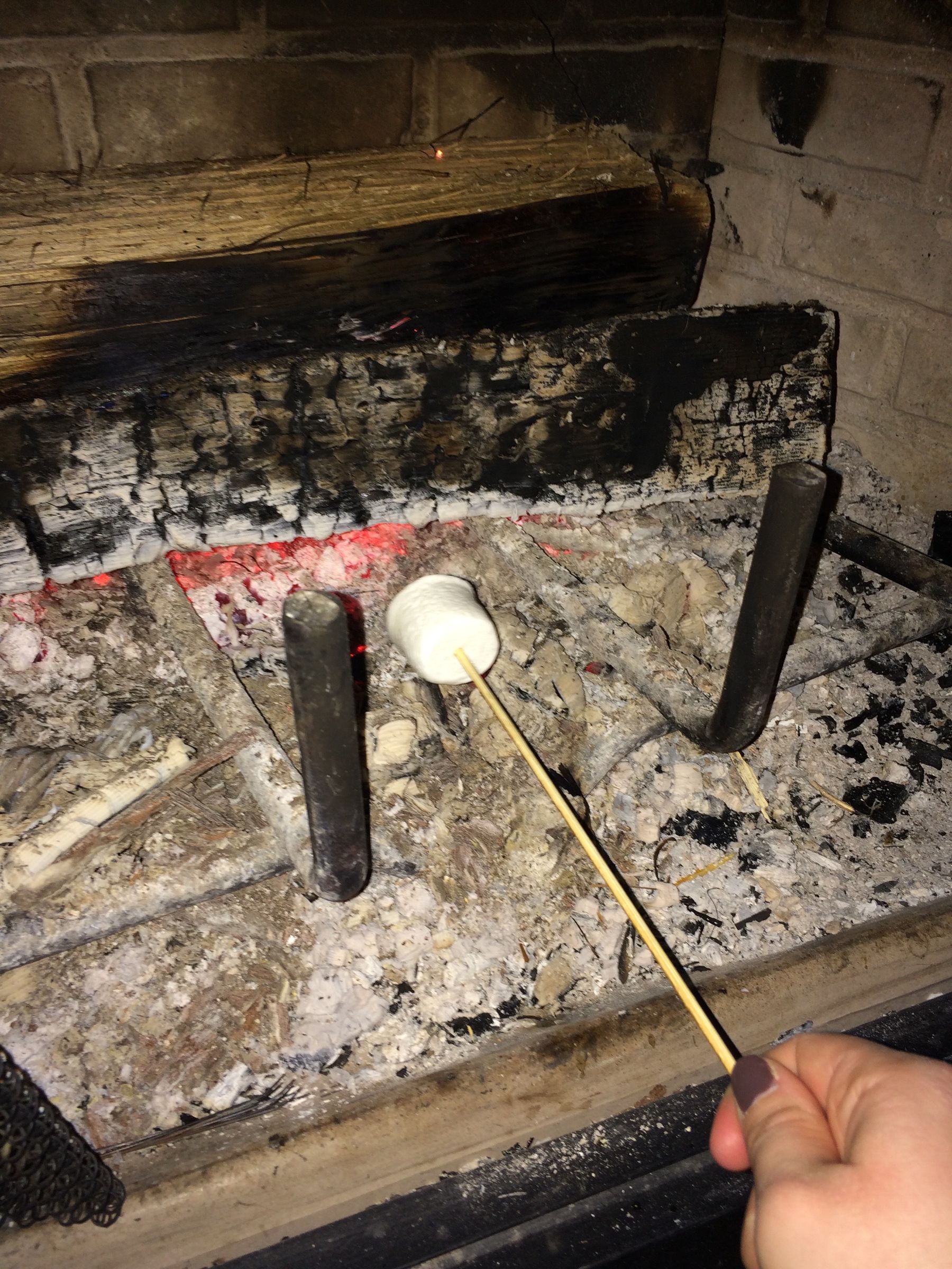 How to Roast the Perfect Marshmallow : 4 Steps - Instructables