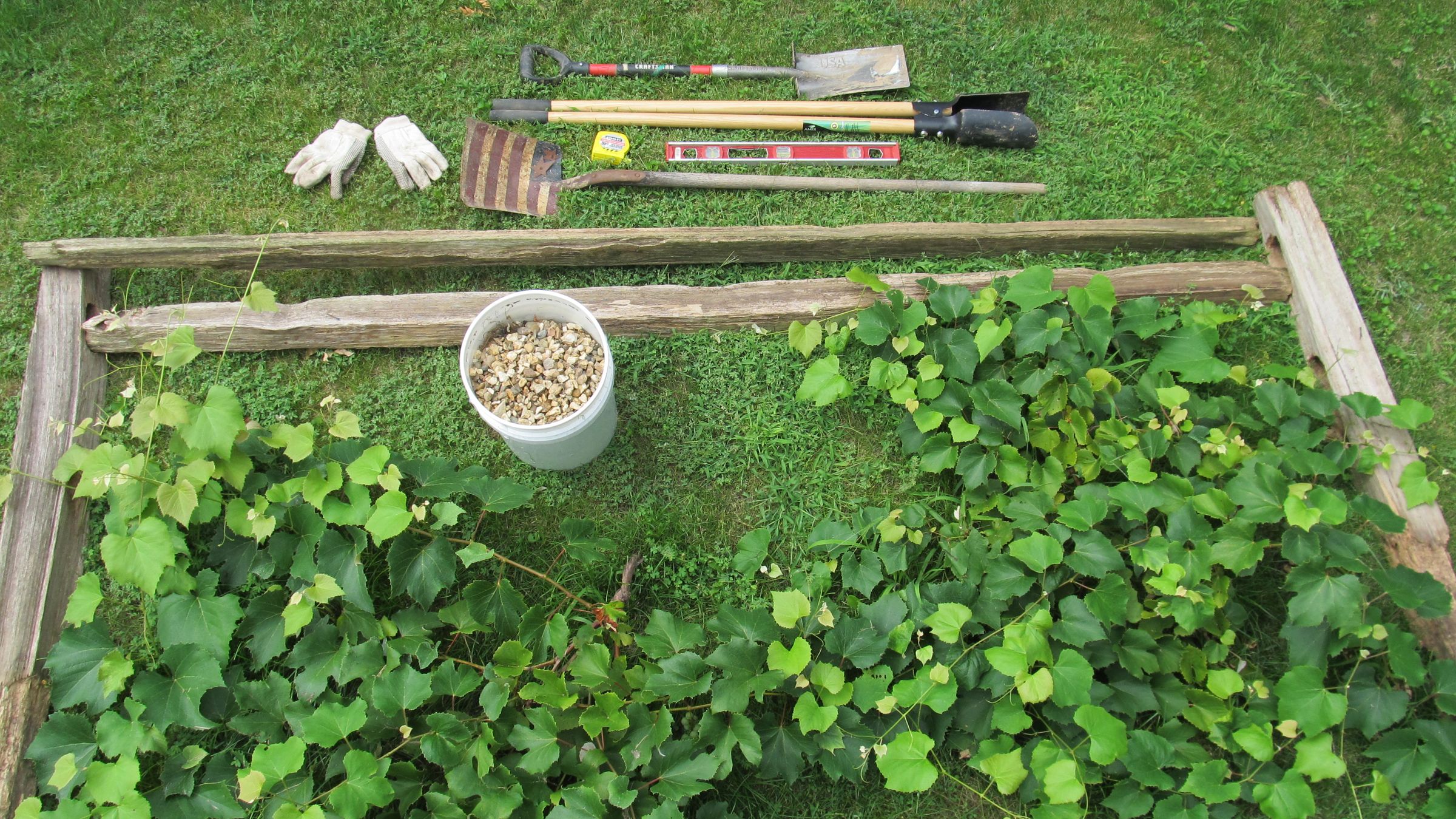 Grape Vine Trellis From a Salvaged Split-Rail Fence : 7 Steps (with ...