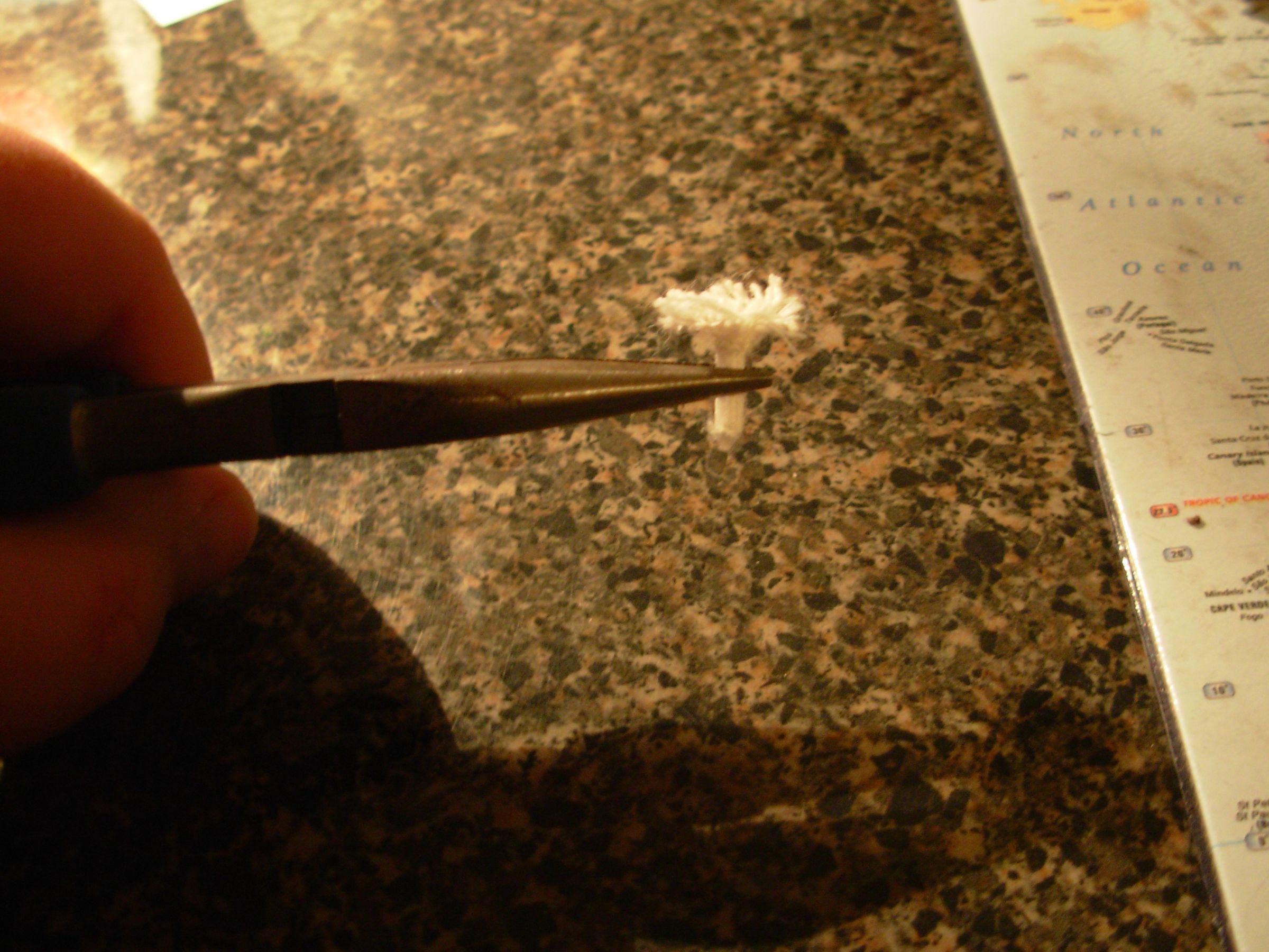 Deadly Blow Dart : 4 Steps - Instructables