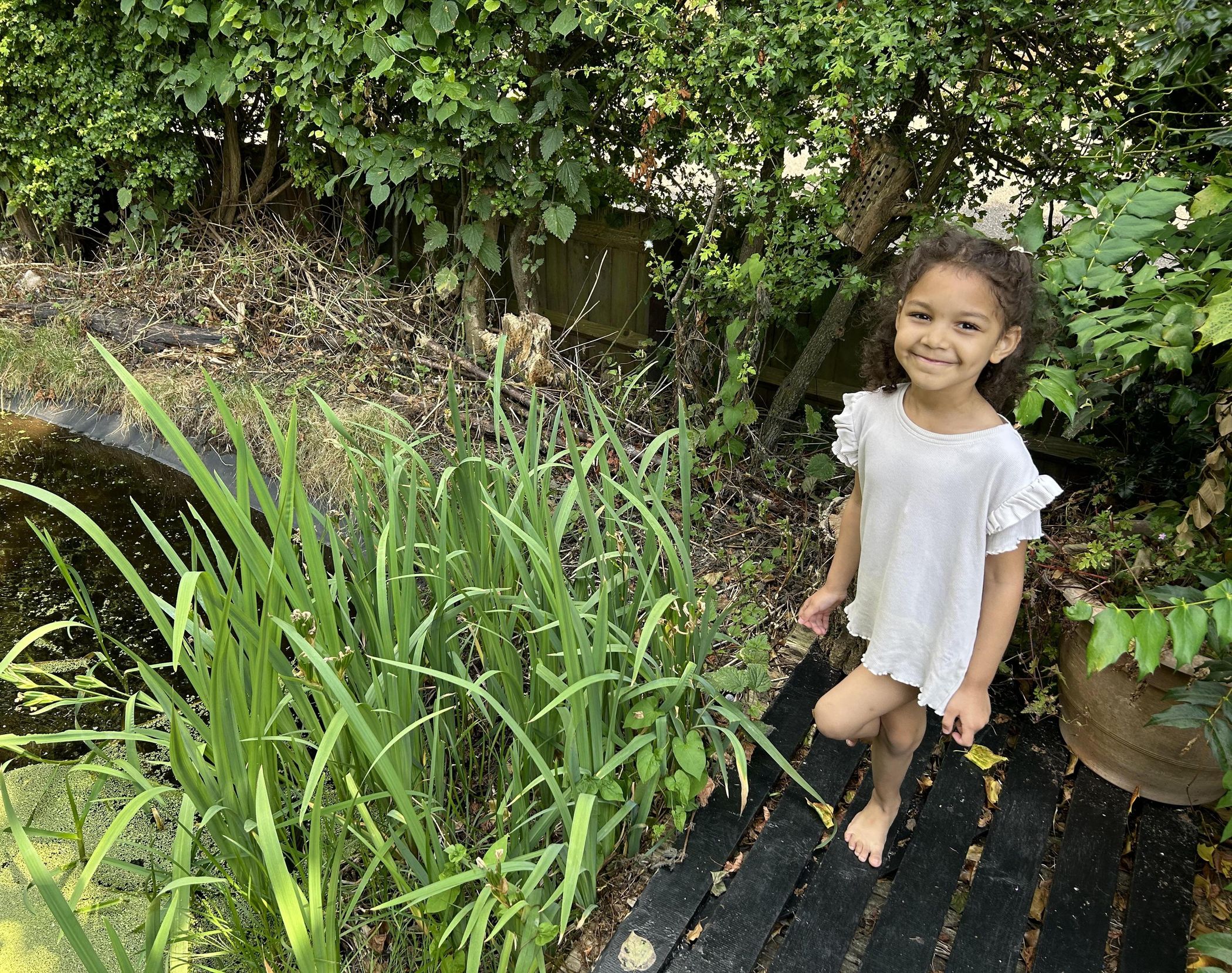 A Wild Pond Teeming With Plants, Insects and Newts : 5 Steps (with ...
