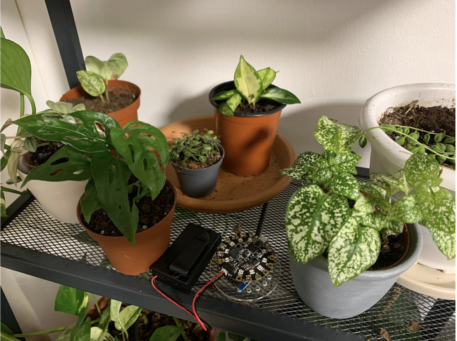 Plant Care With IOT : 9 Steps (with Pictures) - Instructables