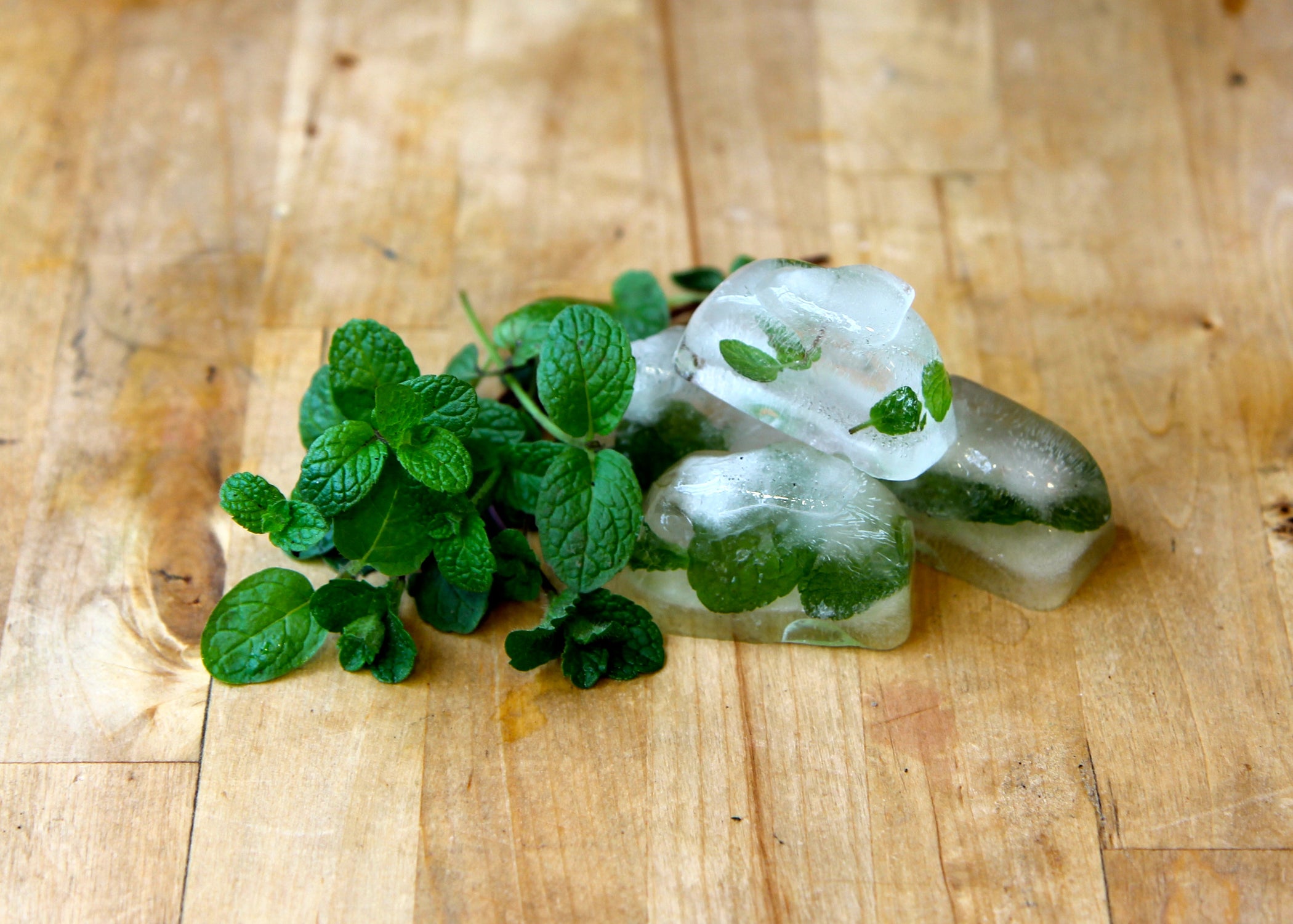 Freezing Fresh Herbs 5 Steps with Pictures Instructables freezing-fresh-herbs-5-steps-with-pictures-instructables