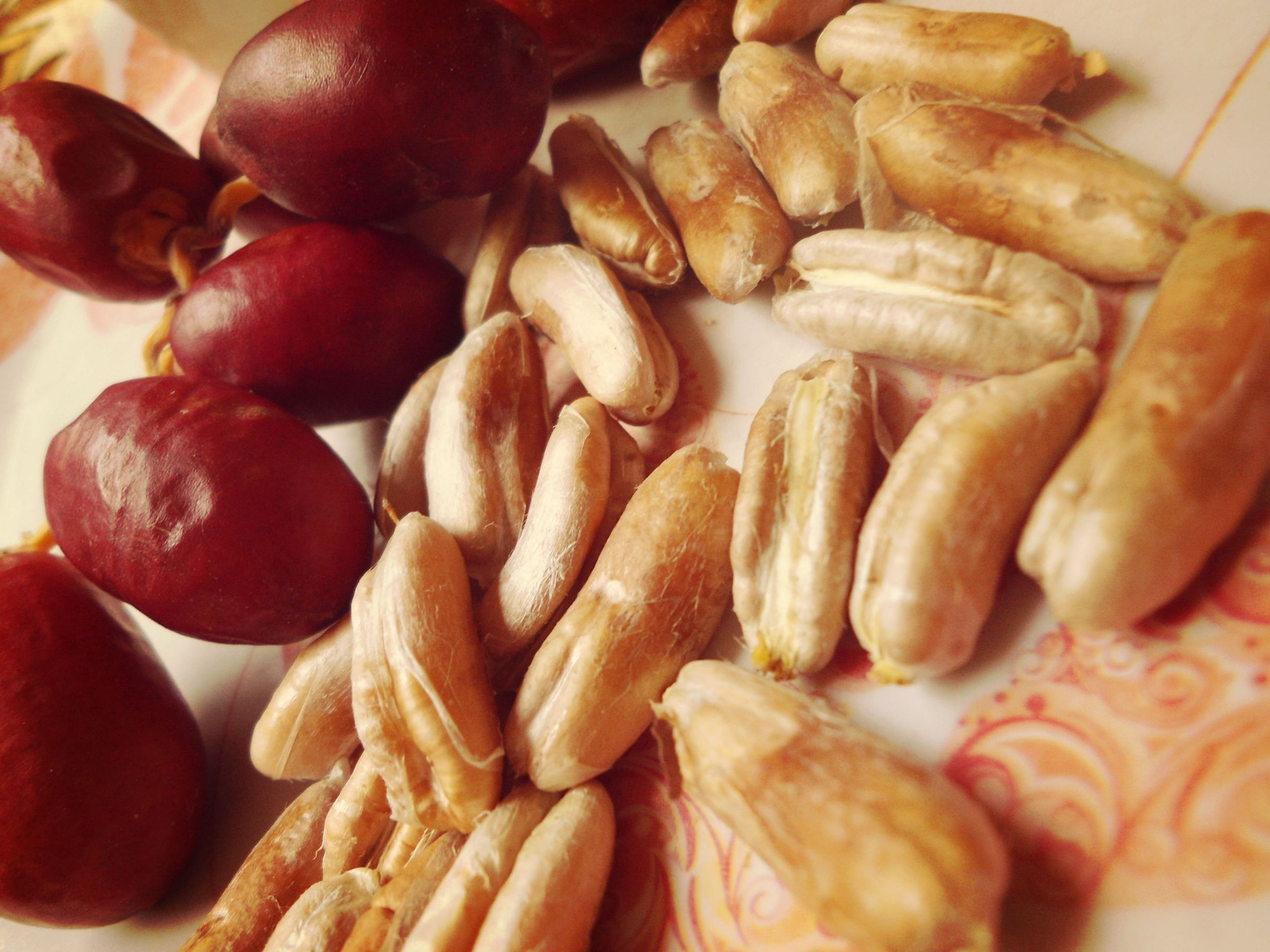 How to Make a Necklace Out of Date Seeds. : 8 Steps - Instructables