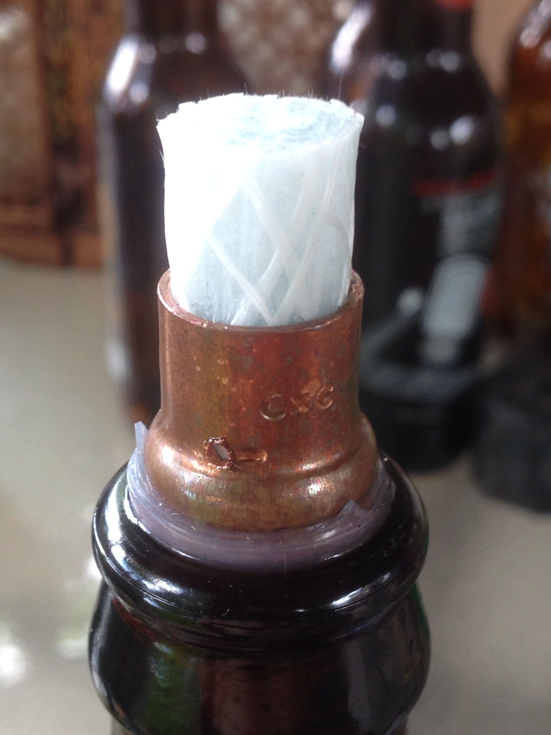 Long Lasting Beer Bottle Tiki Torches : 8 Steps (with Pictures ...