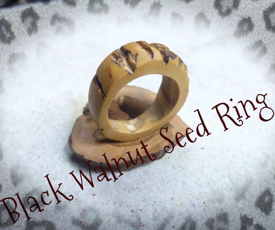 Black Walnut Seed Ring. : 4 Steps (with Pictures) - Instructables