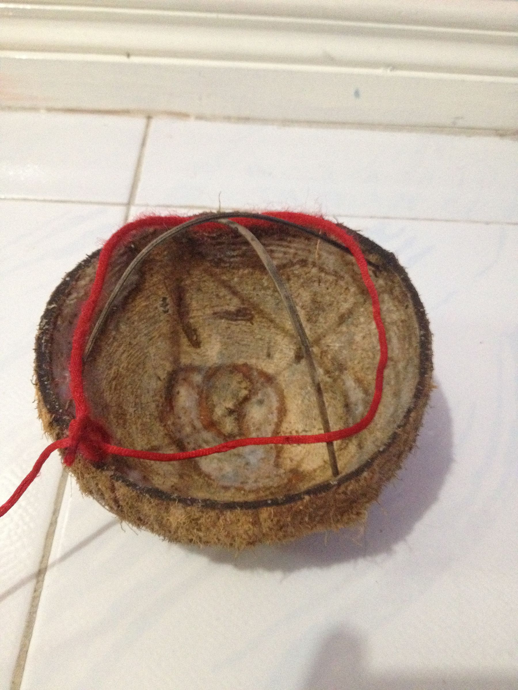 Ancient Chicken Trap : 5 Steps (with Pictures) - Instructables