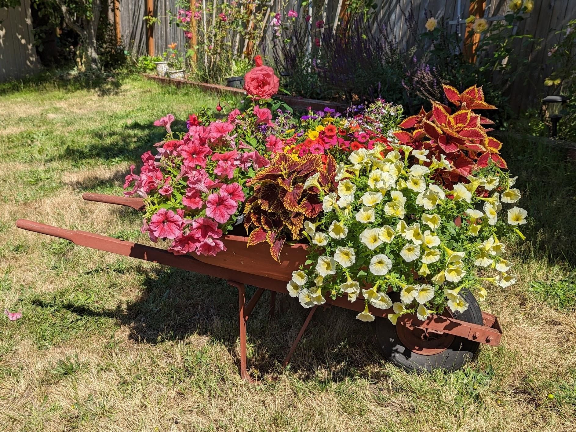 Wheelbarrow Planter : 5 Steps (with Pictures) - Instructables