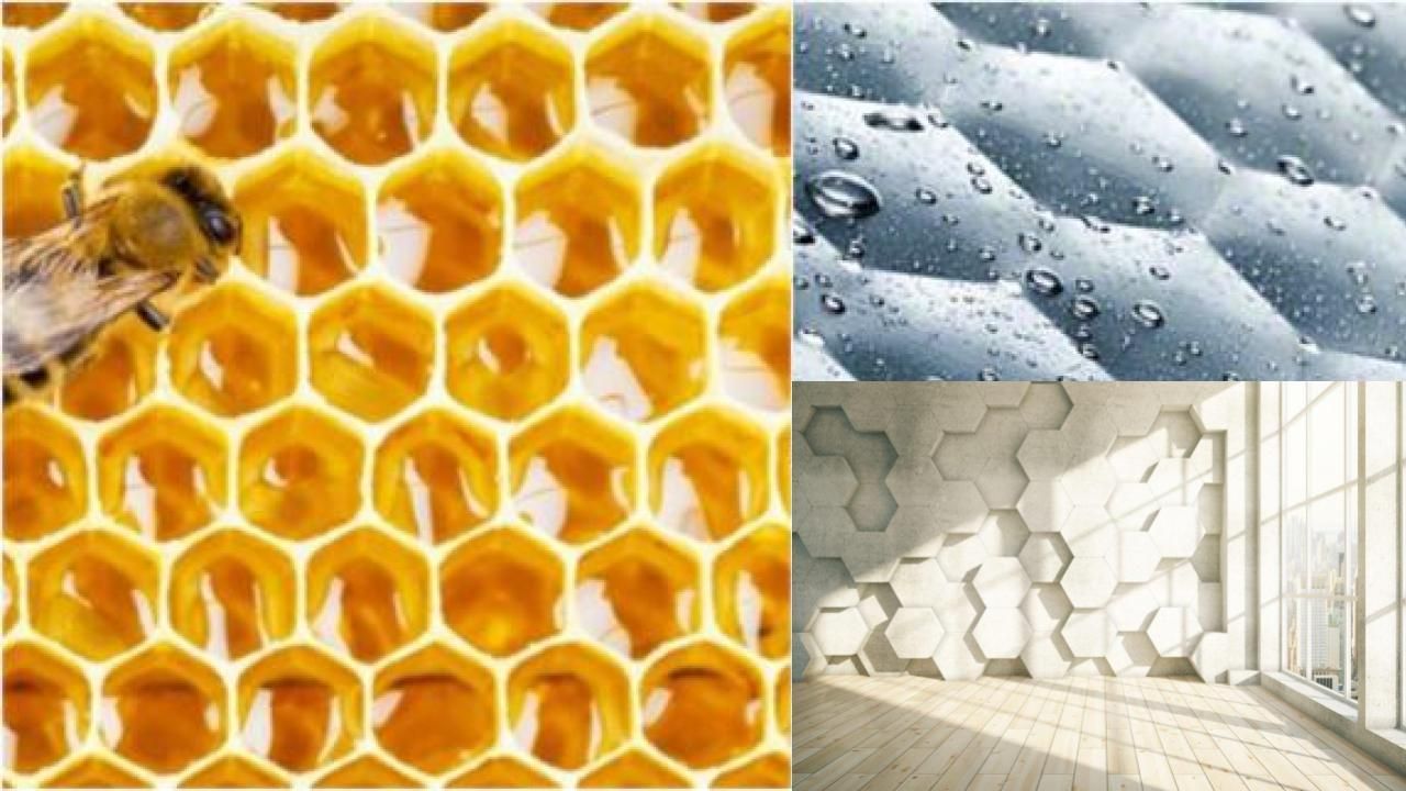 Code-generated Patterns in Tinkercad - Tinkercad