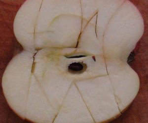 Apple Jigsaw Puzzle #7 With Bonus! : 3 Steps - Instructables
