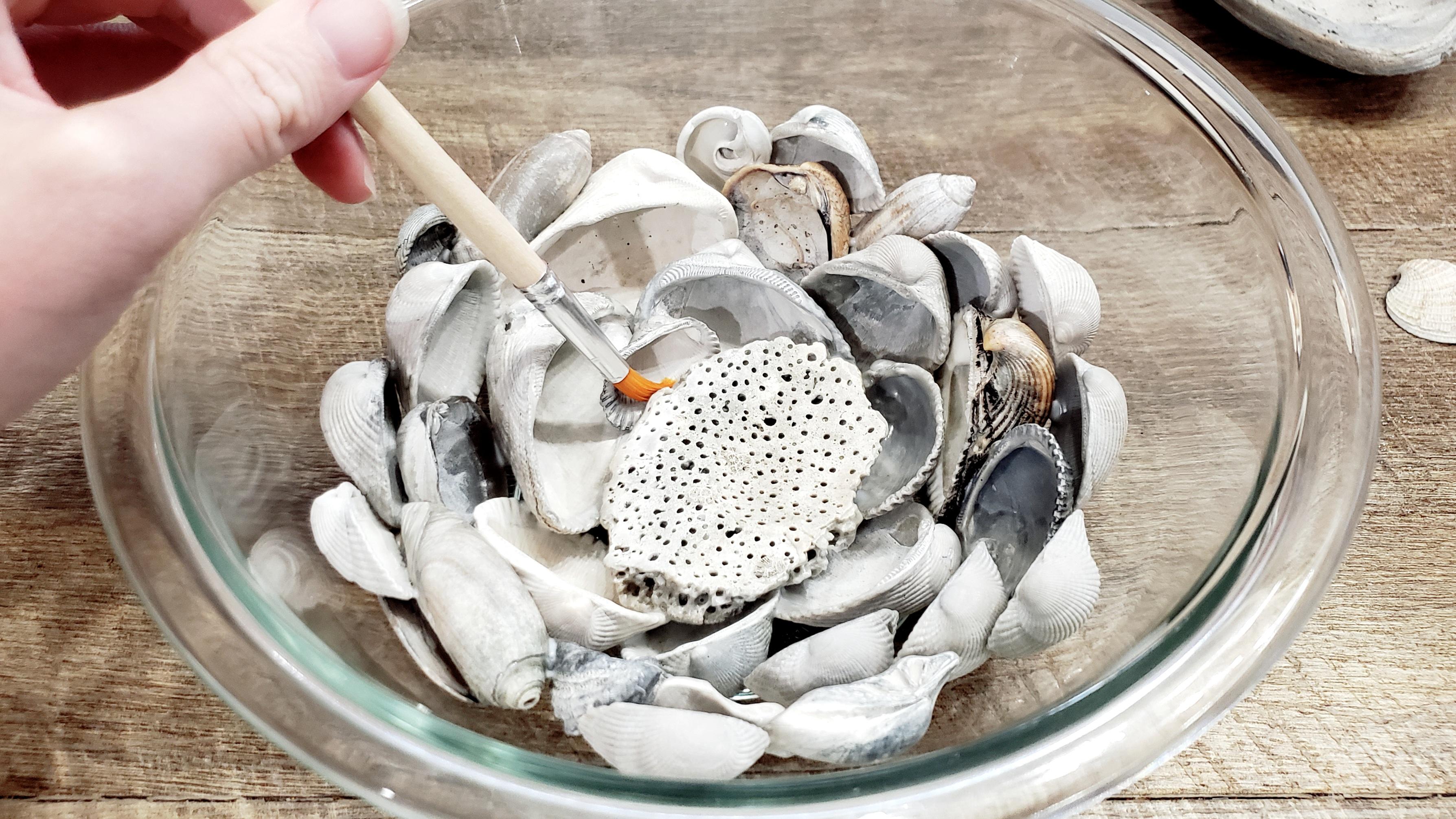 Vacation Memento Shell Bowl : 4 Steps (with Pictures) - Instructables