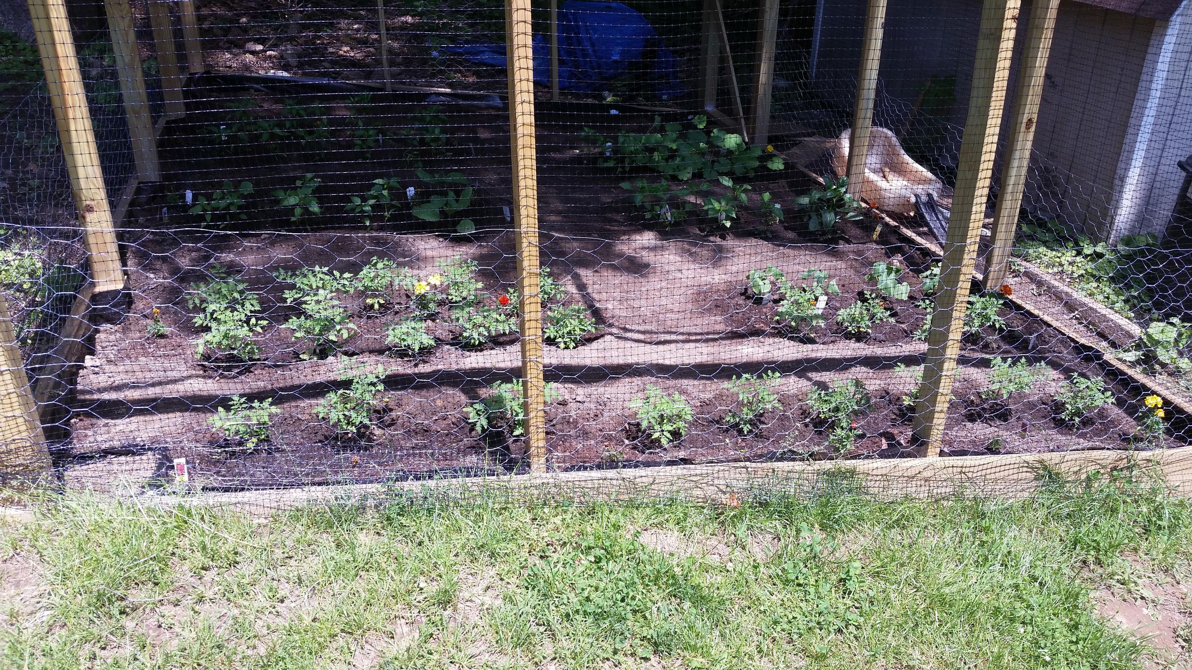 Protected Garden Enclosure : 8 Steps (with Pictures) - Instructables