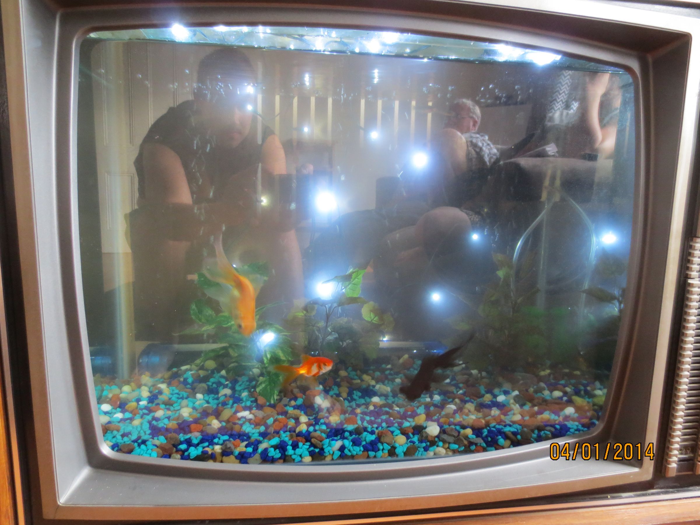 TV Fish Tank \ Aquarium : 5 Steps - Instructables