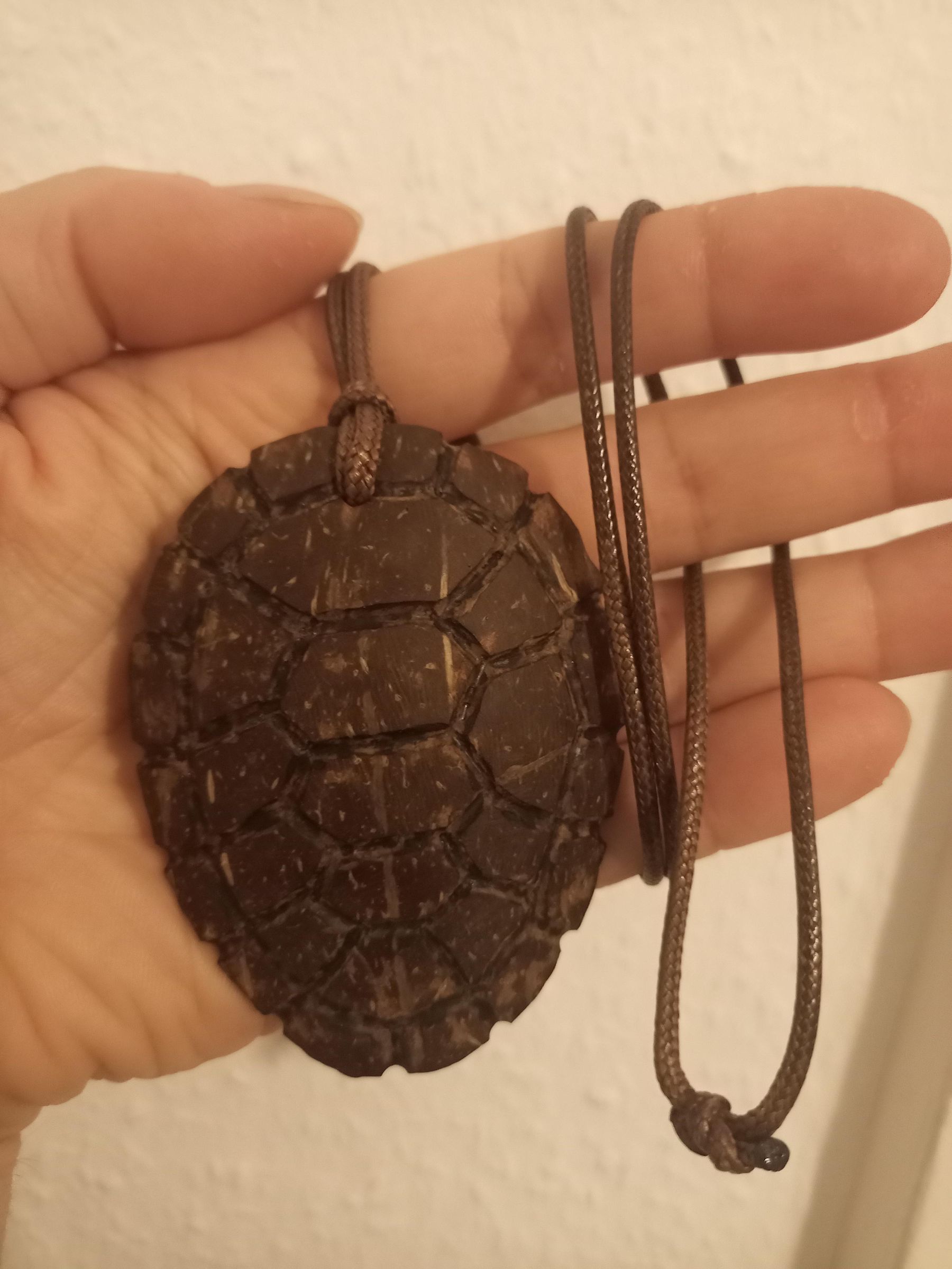 Turtle Shell From Coconut : 6 Steps (with Pictures) - Instructables