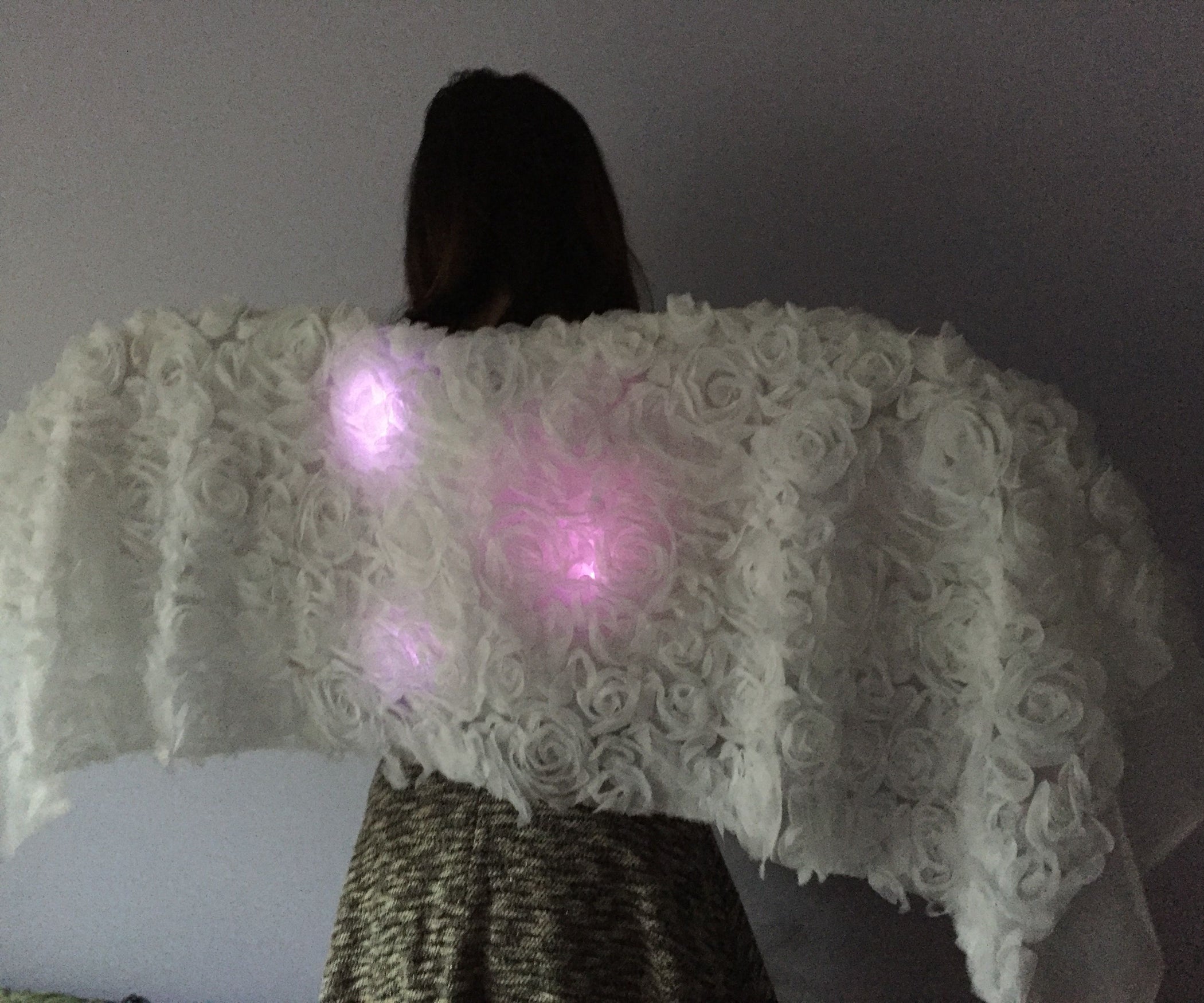 Neopixel Light Up Fire and Ice Wings : 4 Steps (with Pictures ...