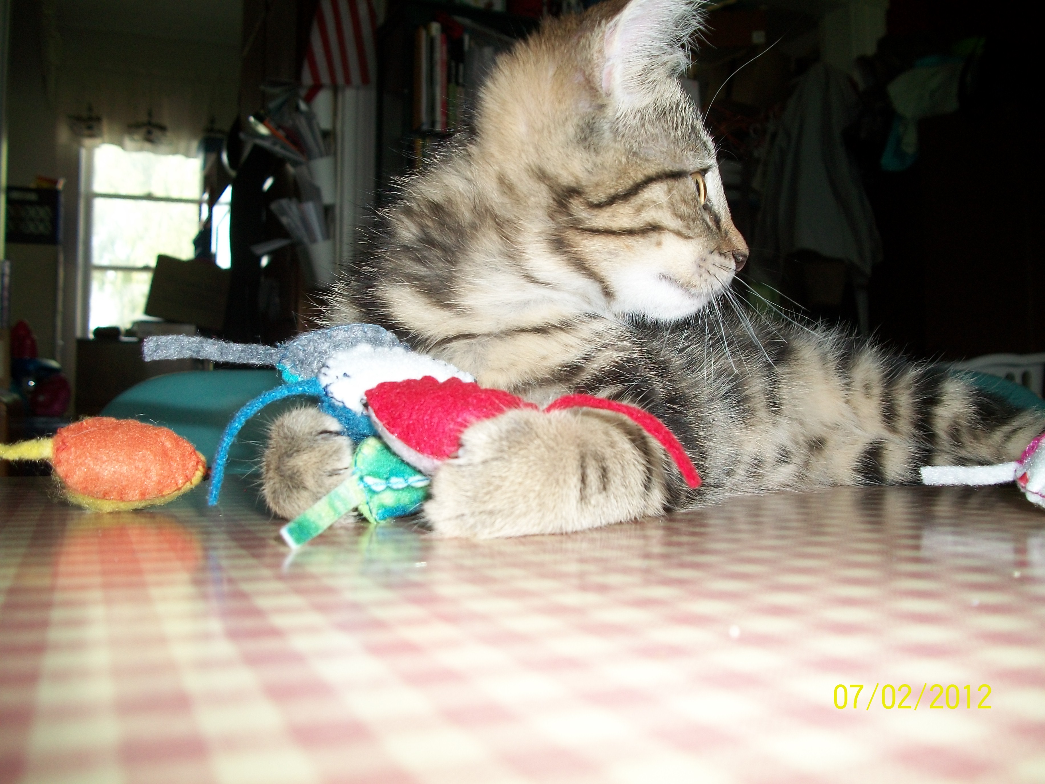 Catnip Mouse Cat Toy - Instructables