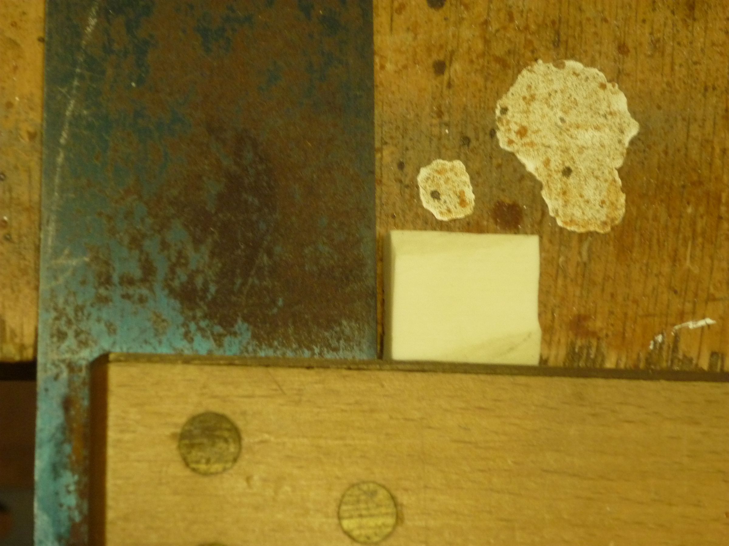 Hand-Carving a Game Tile From Bone : 5 Steps - Instructables