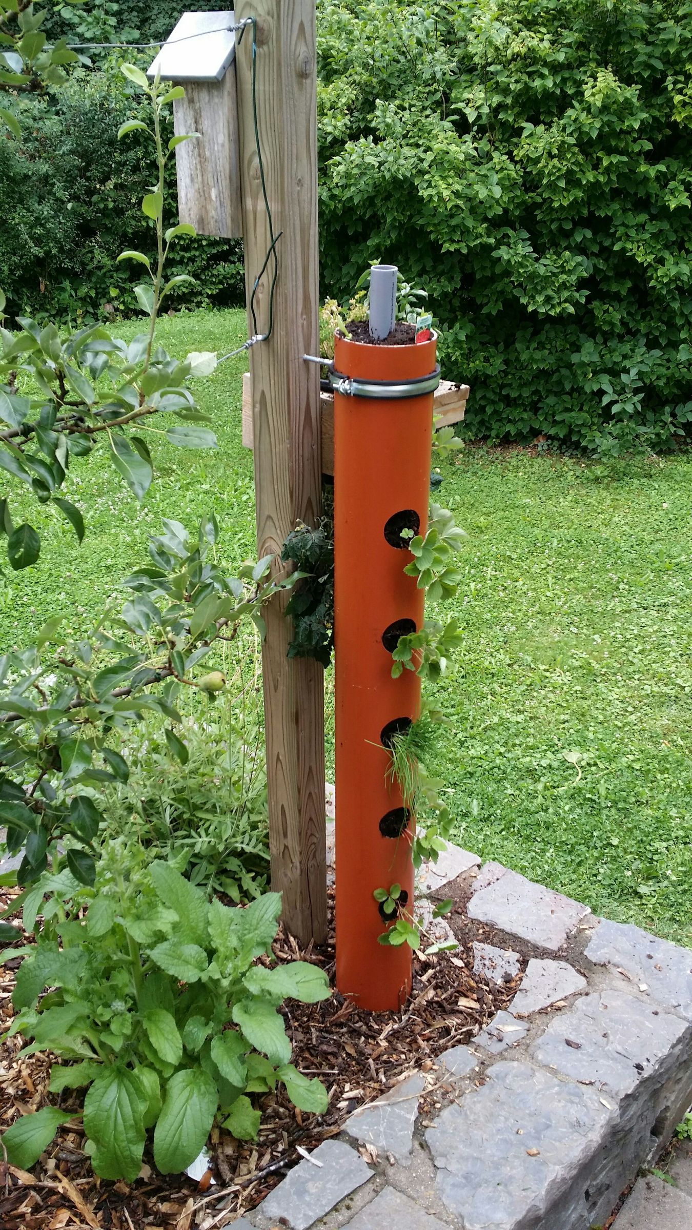 Plant Tower Made Out of PVC Pipe (15 Pockets) : 8 Steps (with Pictures ...