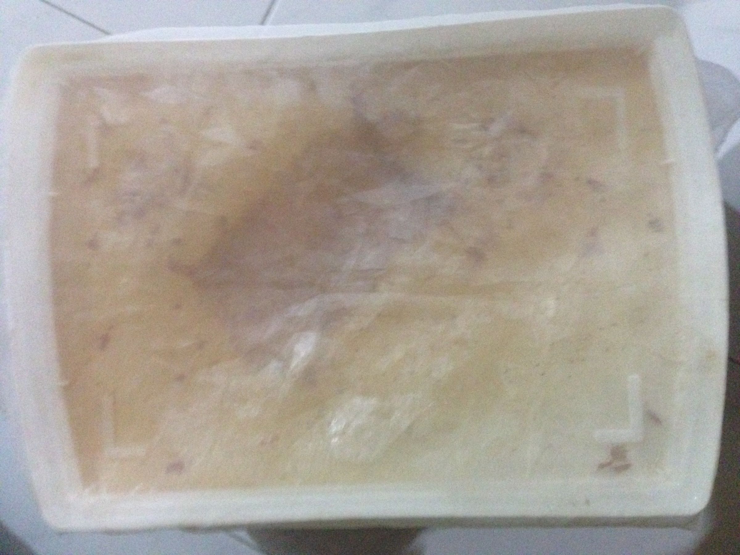 Kombucha Fabric : 6 Steps (with Pictures) - Instructables