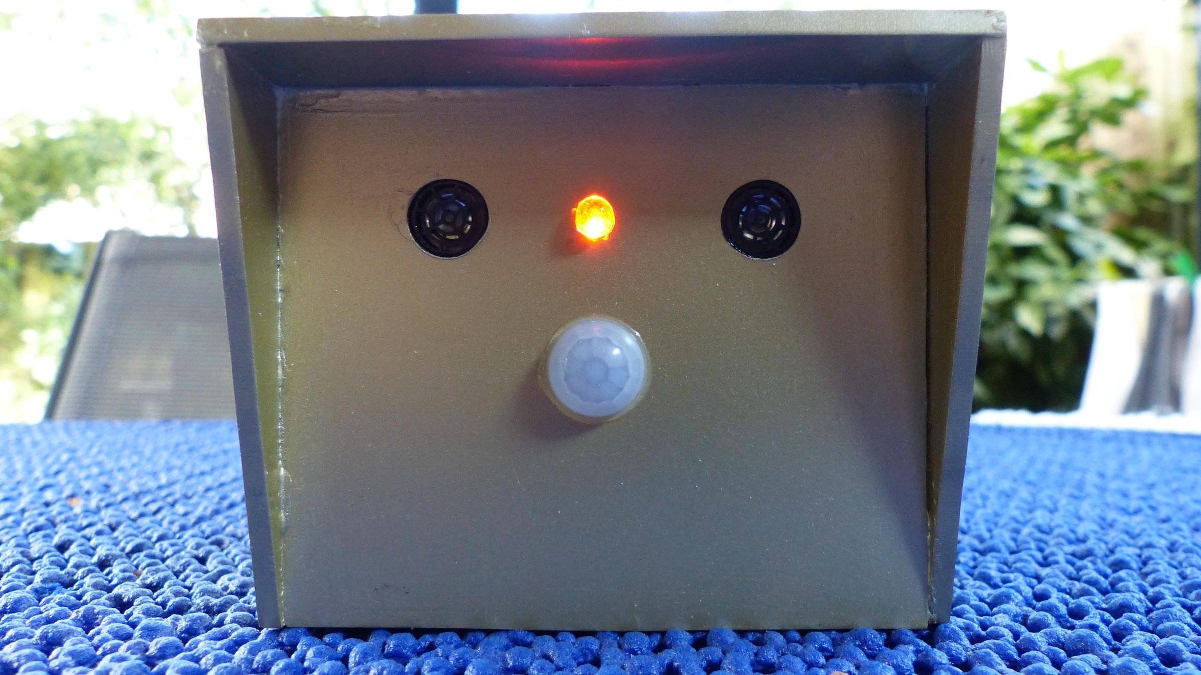 Cat Repellent : 4 Steps (with Pictures) - Instructables