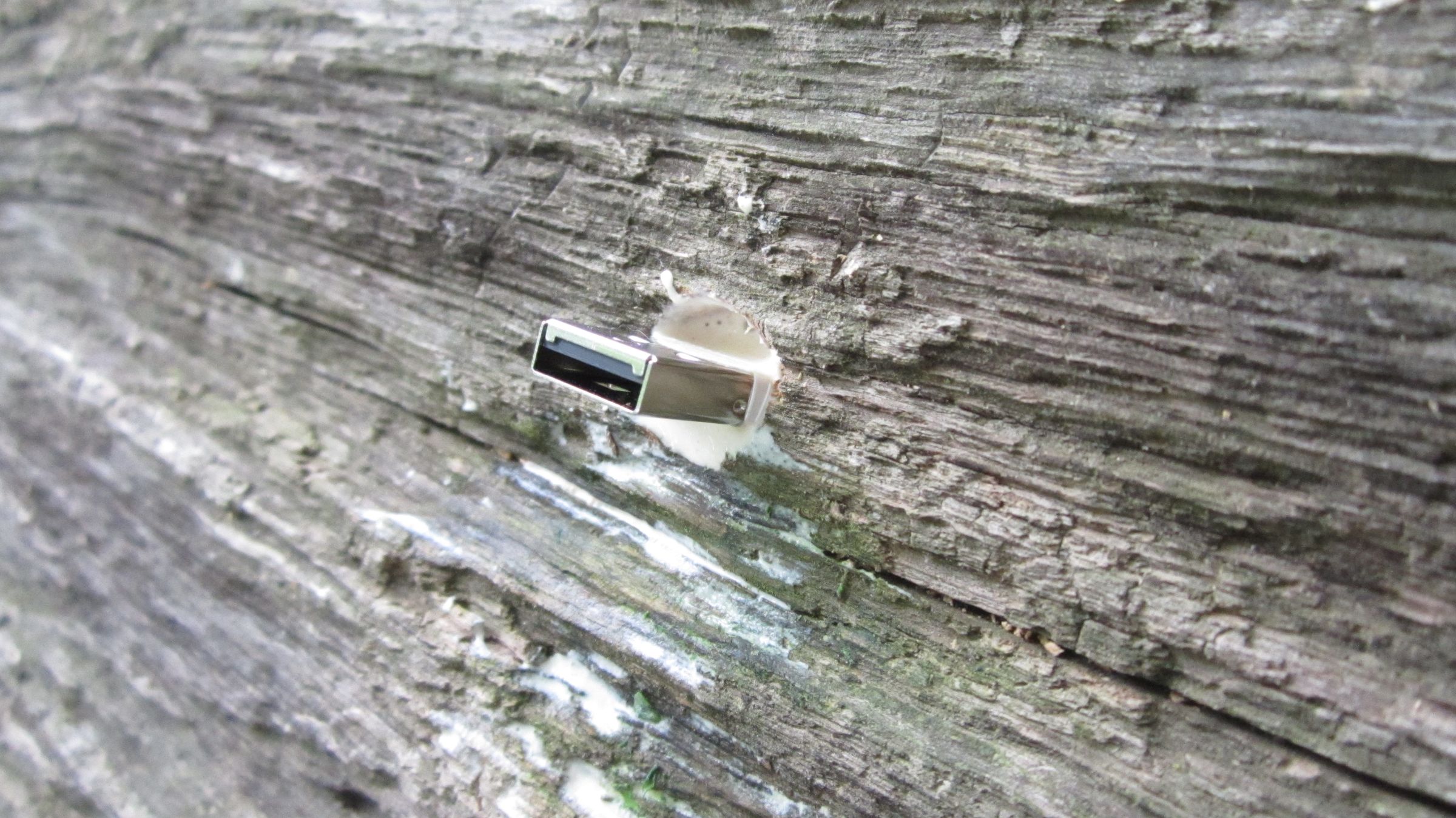 Create a USB Dead Drop in Nature : 10 Steps (with Pictures) - Instructables