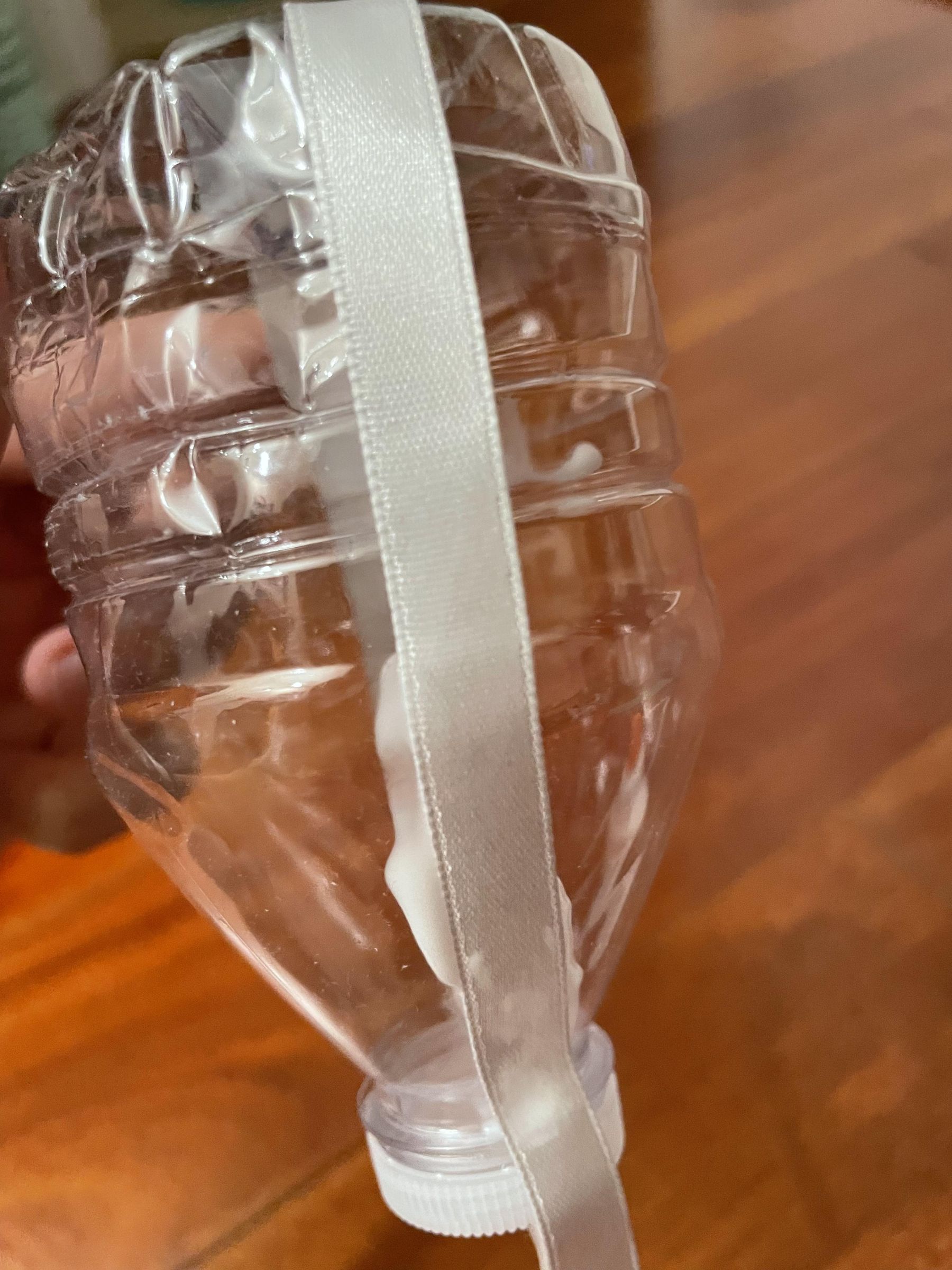 Water Bottle Christmas Ornament : 13 Steps - Instructables