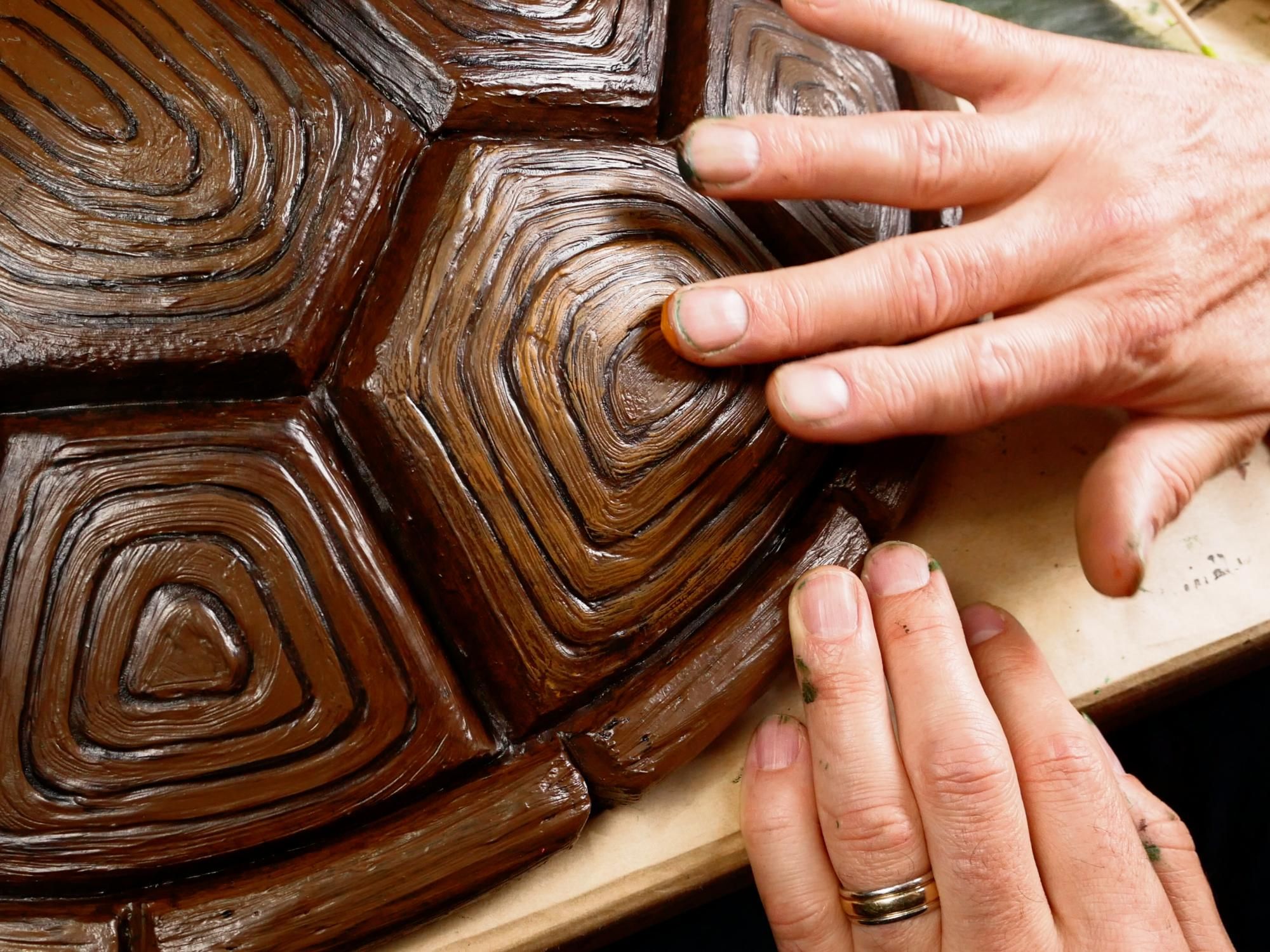 DIY Turtle Shell From a Foam Mat! : 29 Steps (with Pictures ...