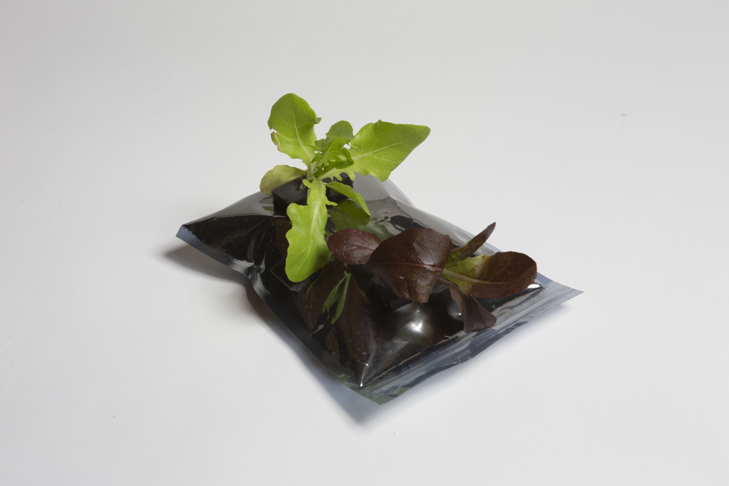 Automated Plant Growth Chamber : 7 Steps (with Pictures) - Instructables