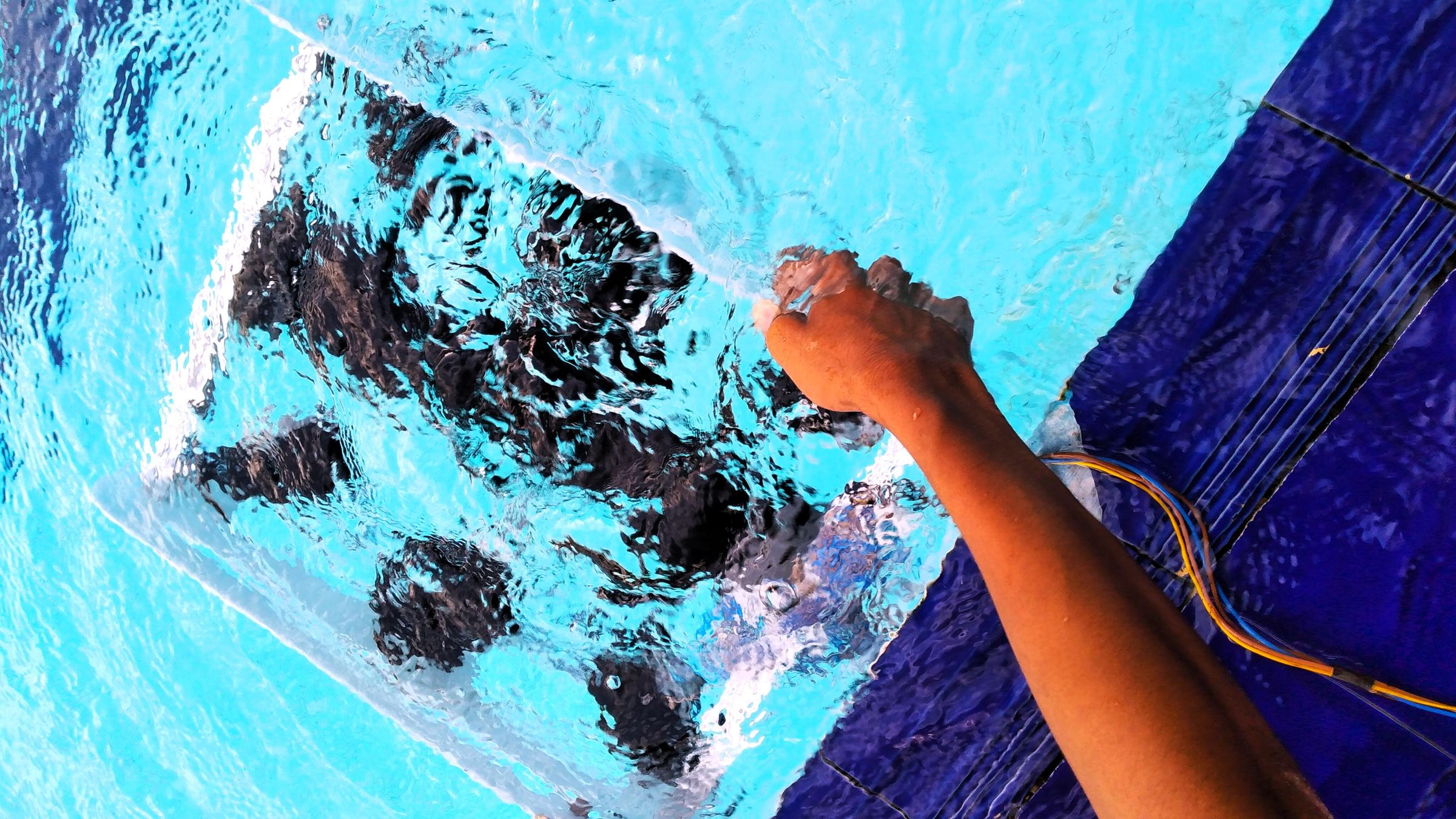 Build Your Own Underwater Robot V2 : 14 Steps (with Pictures ...