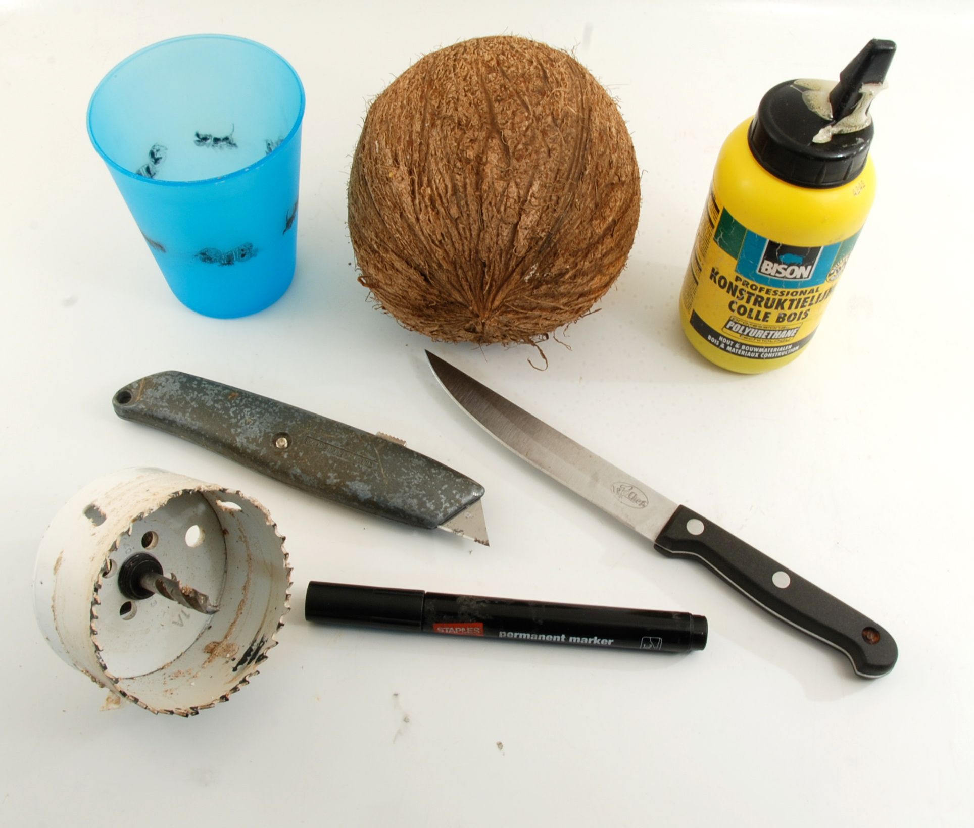 Coconut Drinking Glass : 6 Steps (with Pictures) - Instructables