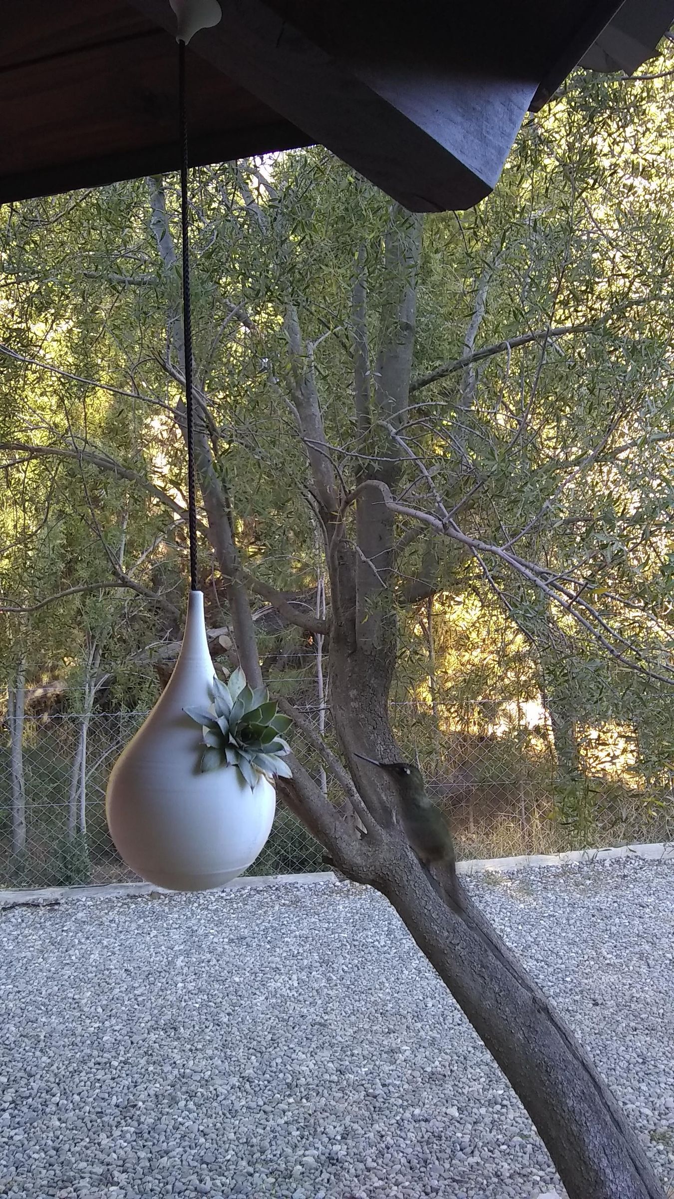 A One-of-a-kind 3D Printed Hanging Pot : 9 Steps (with Pictures ...