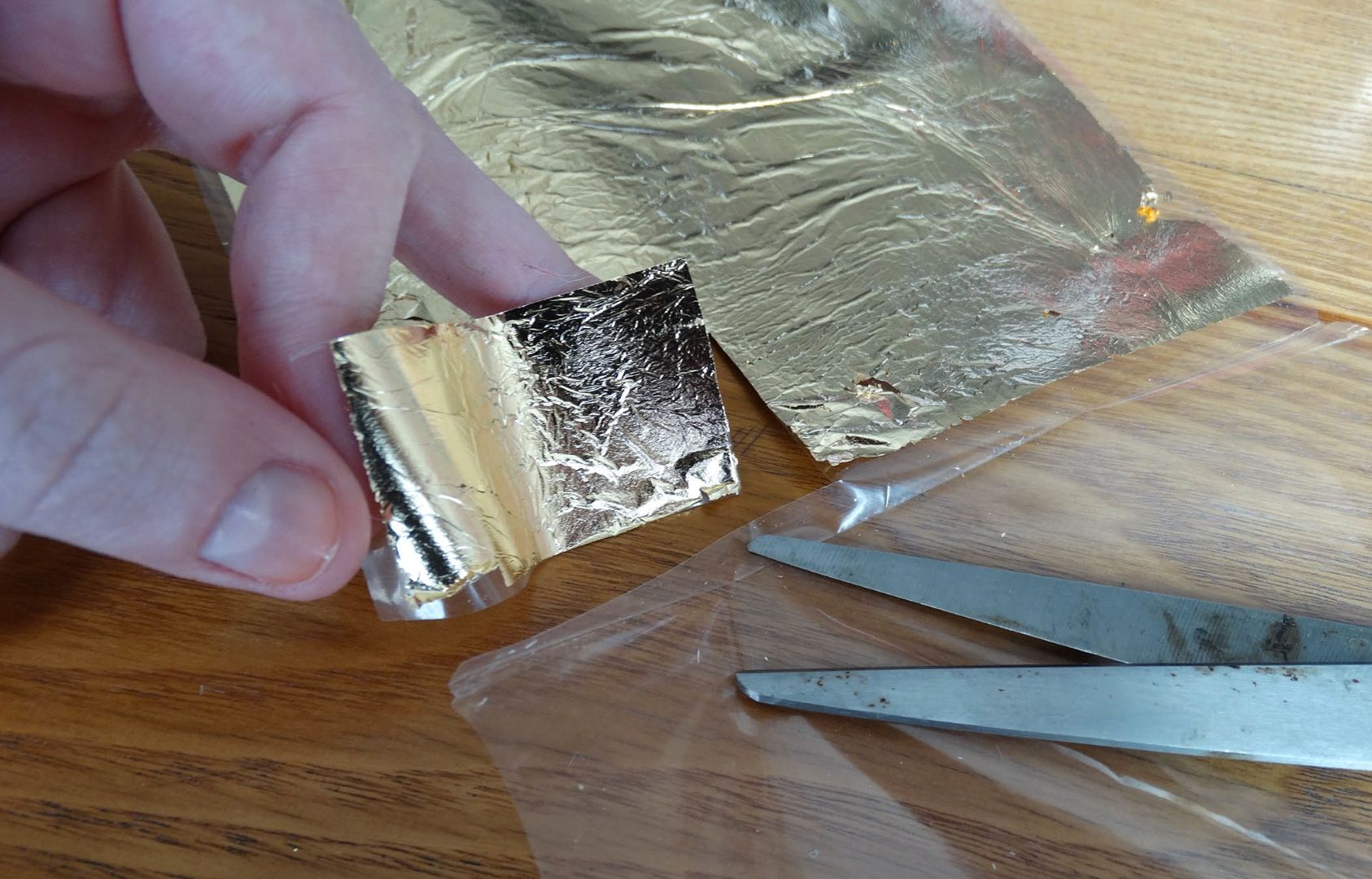 Preparing and Gilding a Real Insect : 10 Steps (with Pictures ...