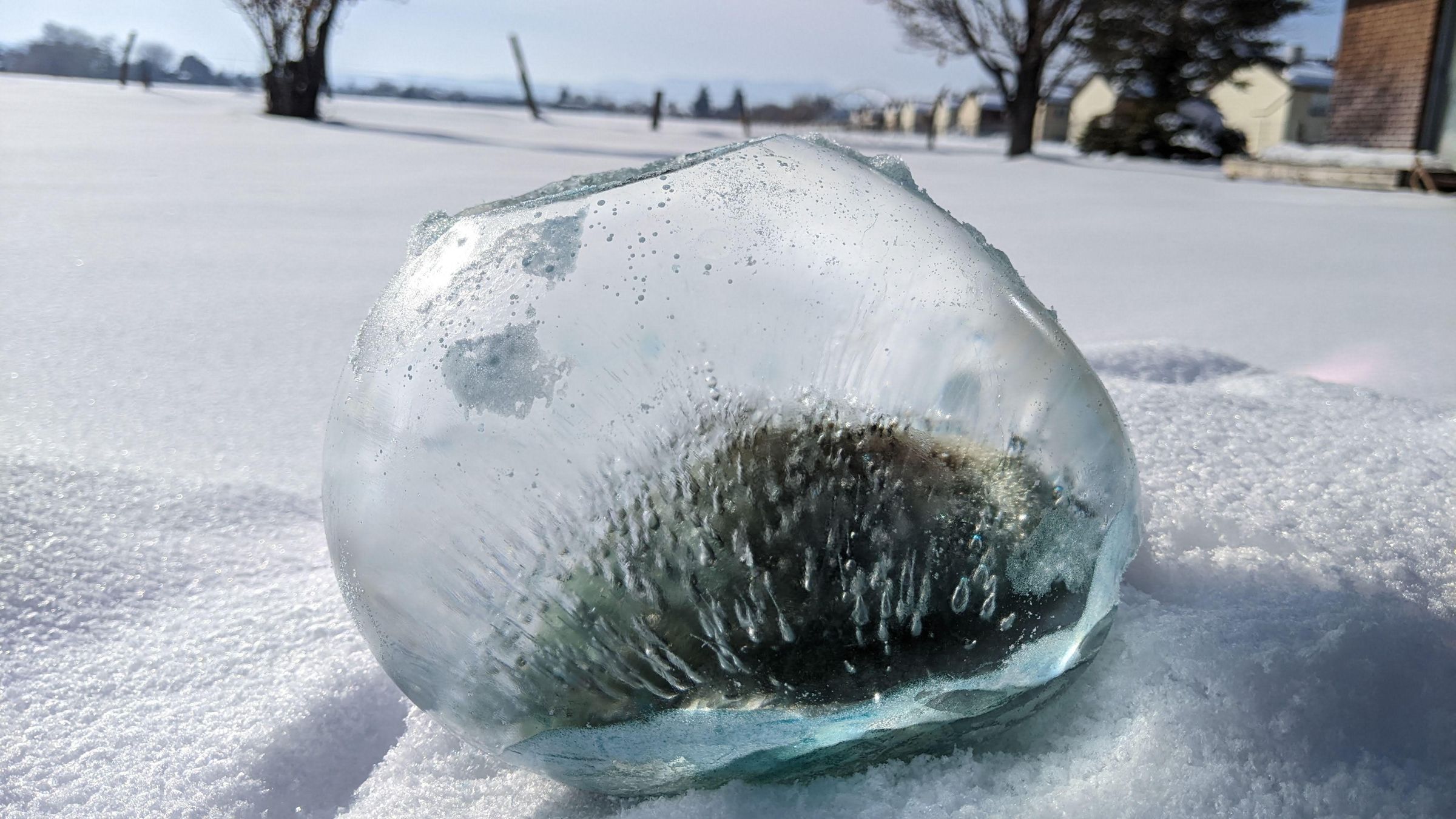 Colorful Frozen Ice Balls : 3 Steps - Instructables