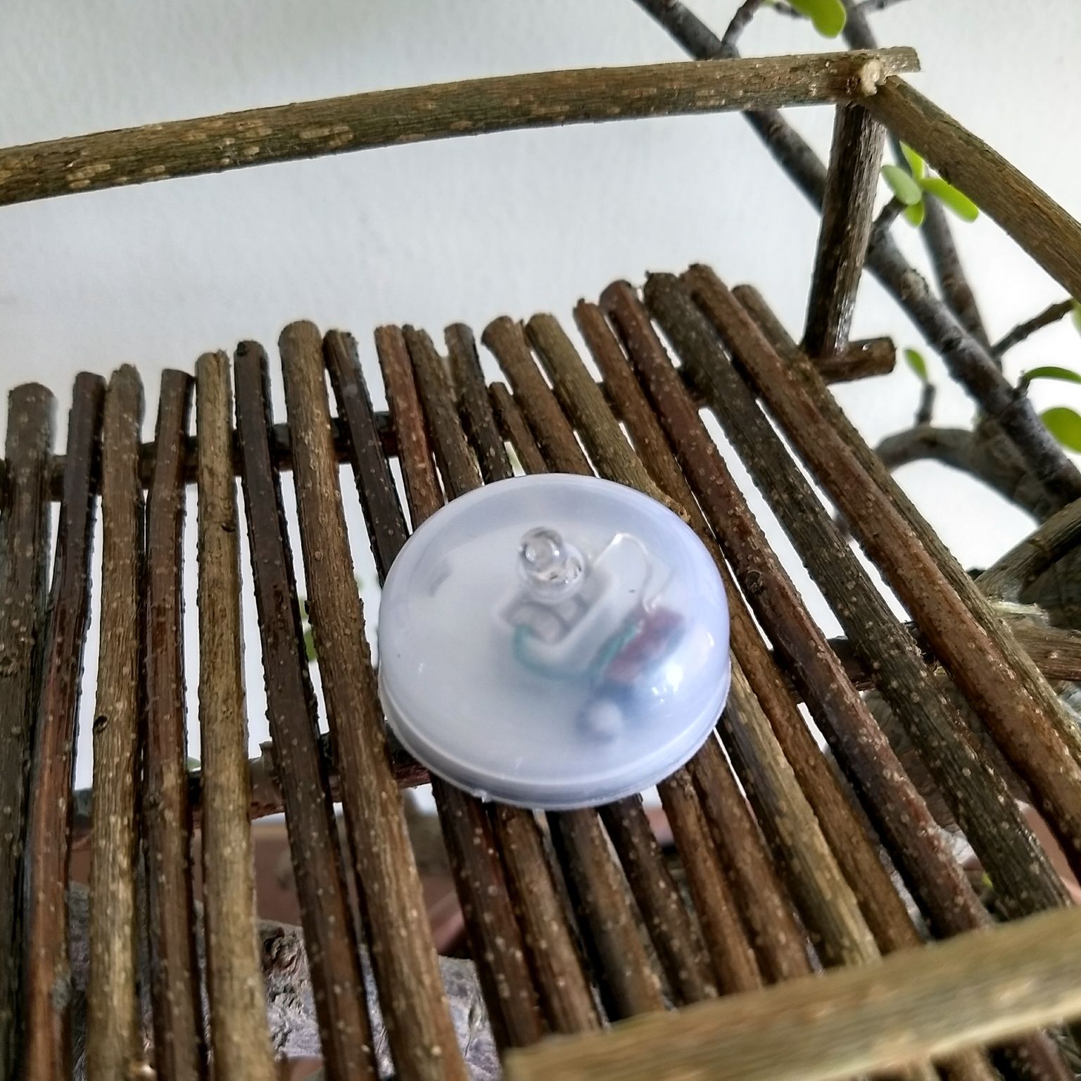 Bonsai Mini Lighted Rustic Tree House : 10 Steps (with Pictures ...