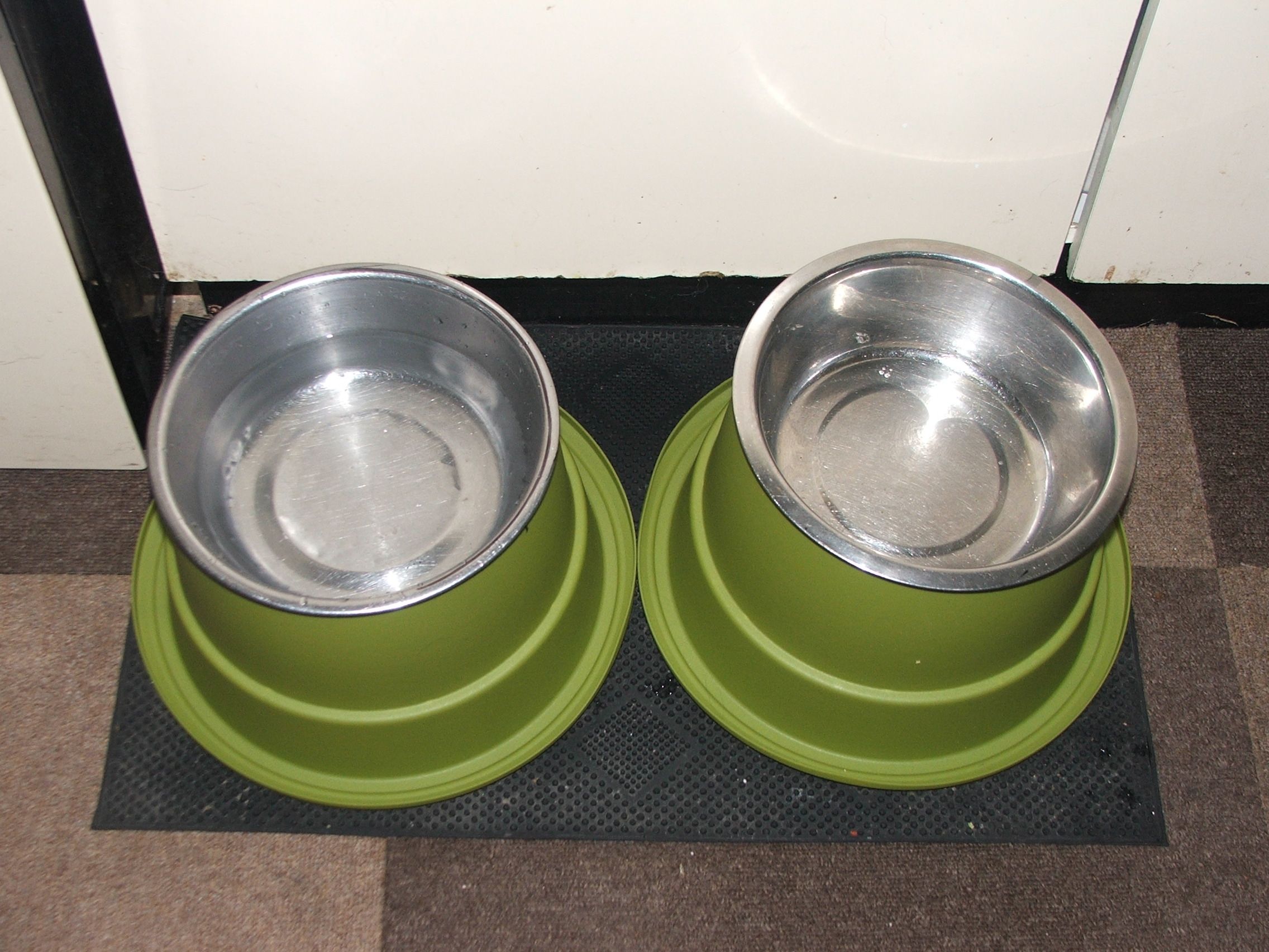 Plantpot Dog Dishes : 3 Steps (with Pictures) - Instructables