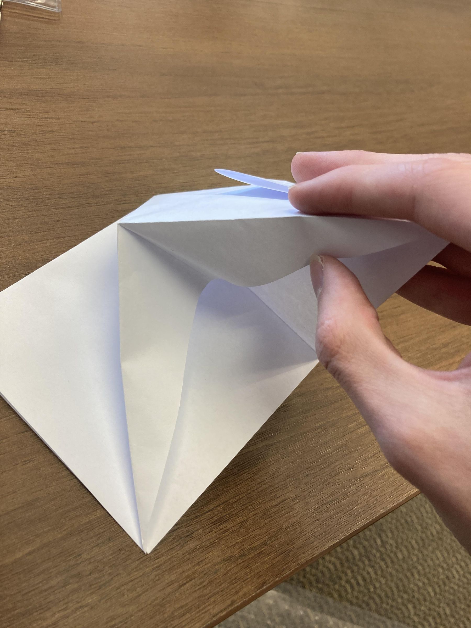 Folding a Paper Crane : 16 Steps (with Pictures) - Instructables