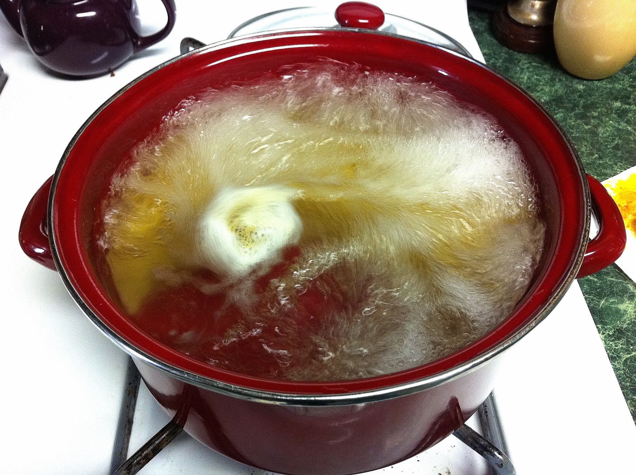 How to Make a Fabulous Lasagna for 12... : 22 Steps (with Pictures ...