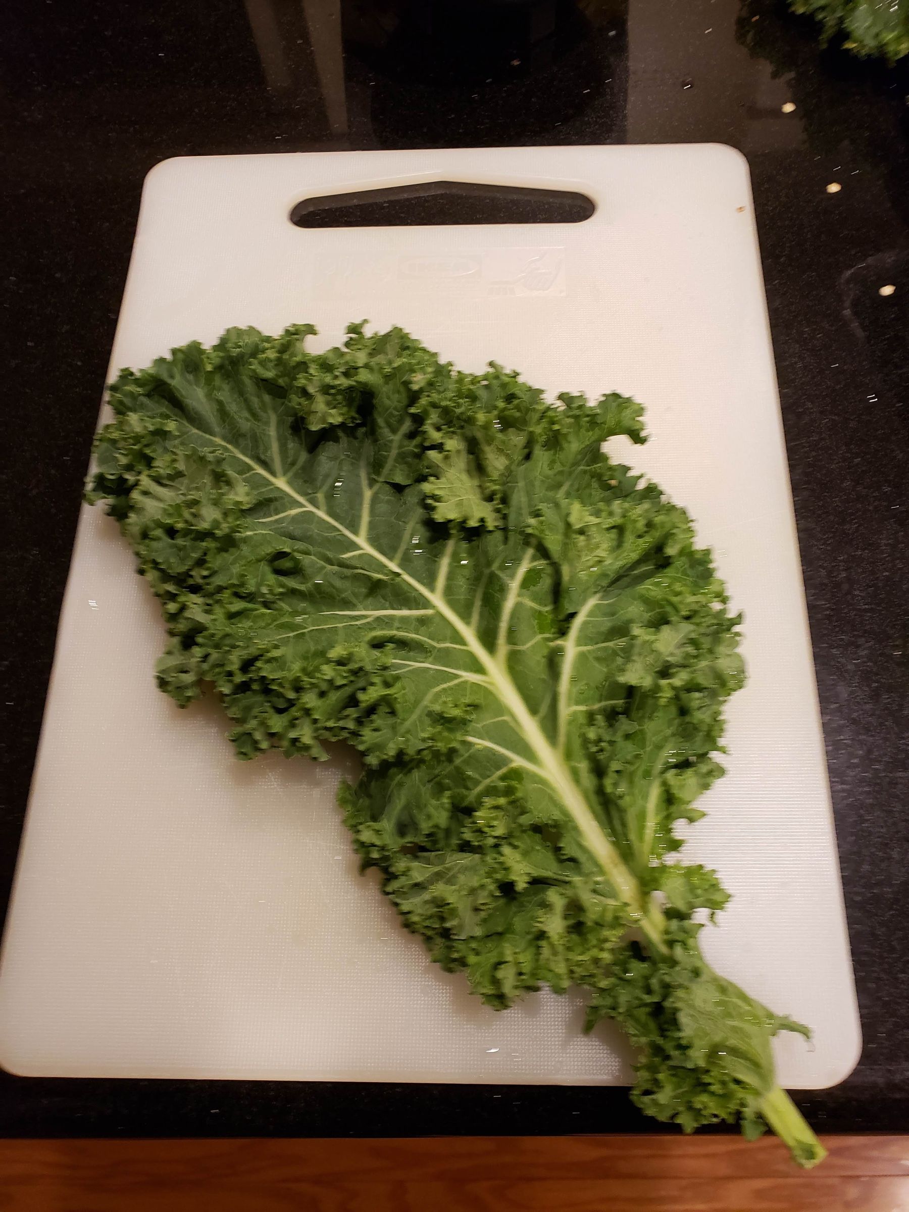 Christmas Tree Salad : 6 Steps - Instructables